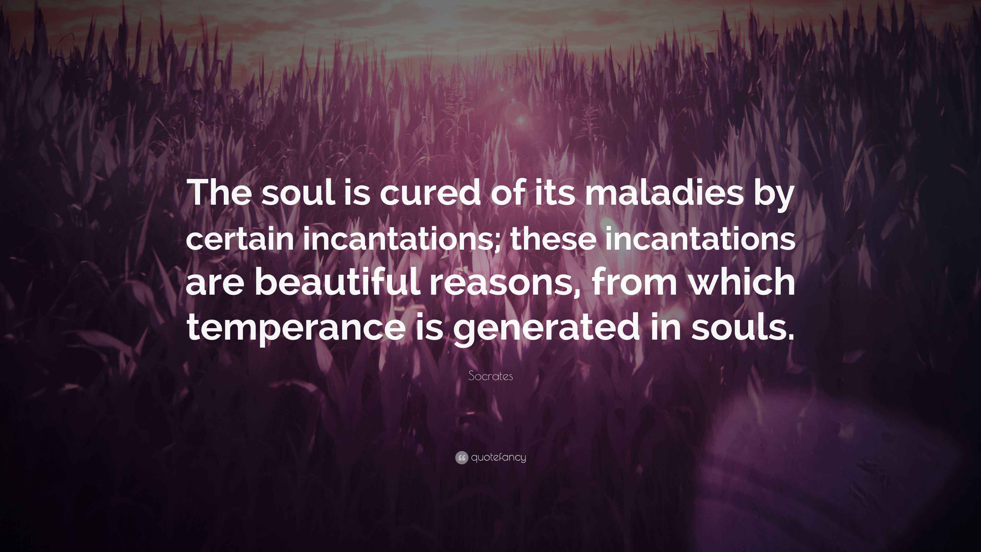 Socrates Quote: “The soul is cured of its maladies by certain ...
