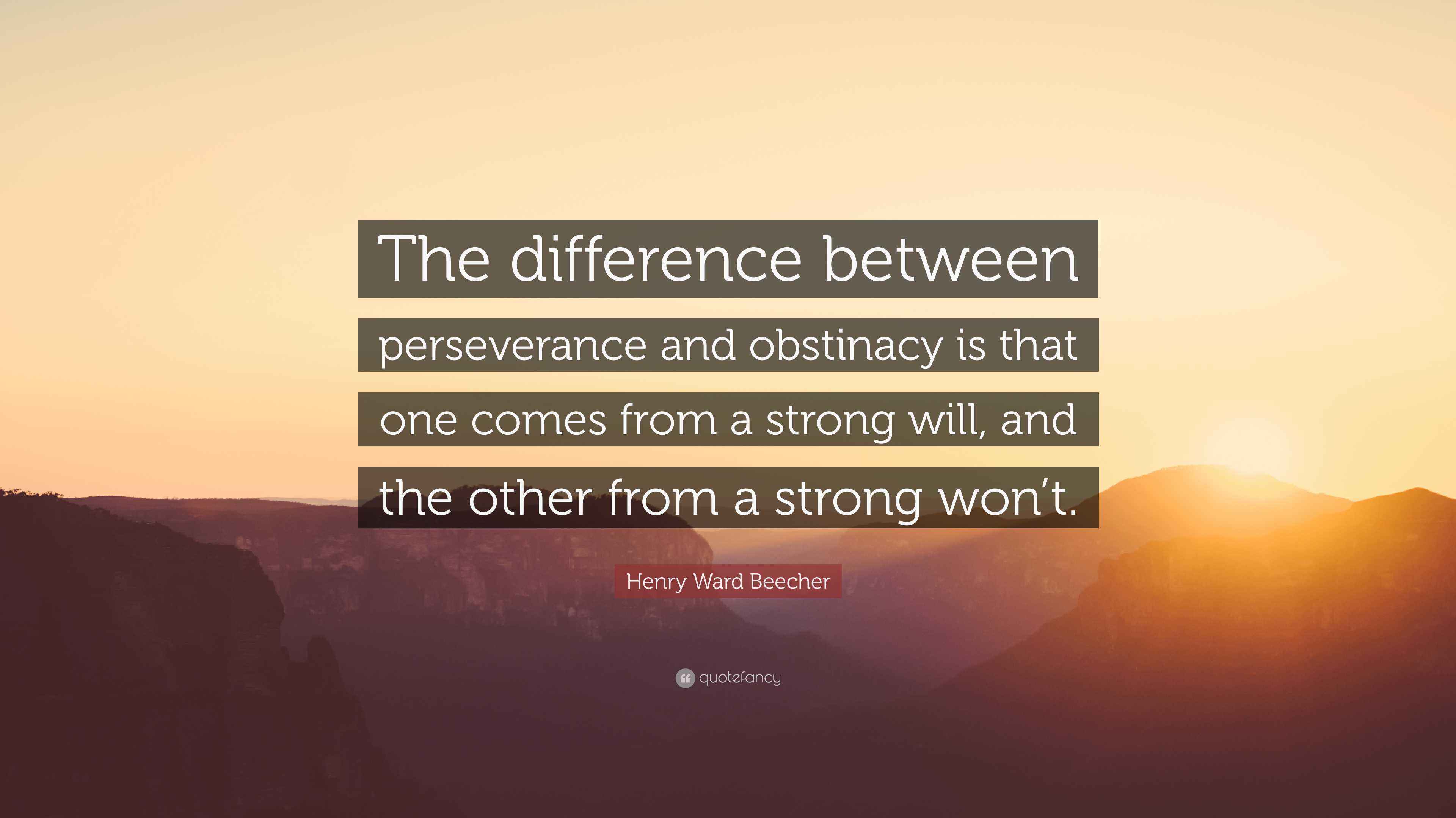 Henry Ward Beecher Quote: “The difference between perseverance and ...