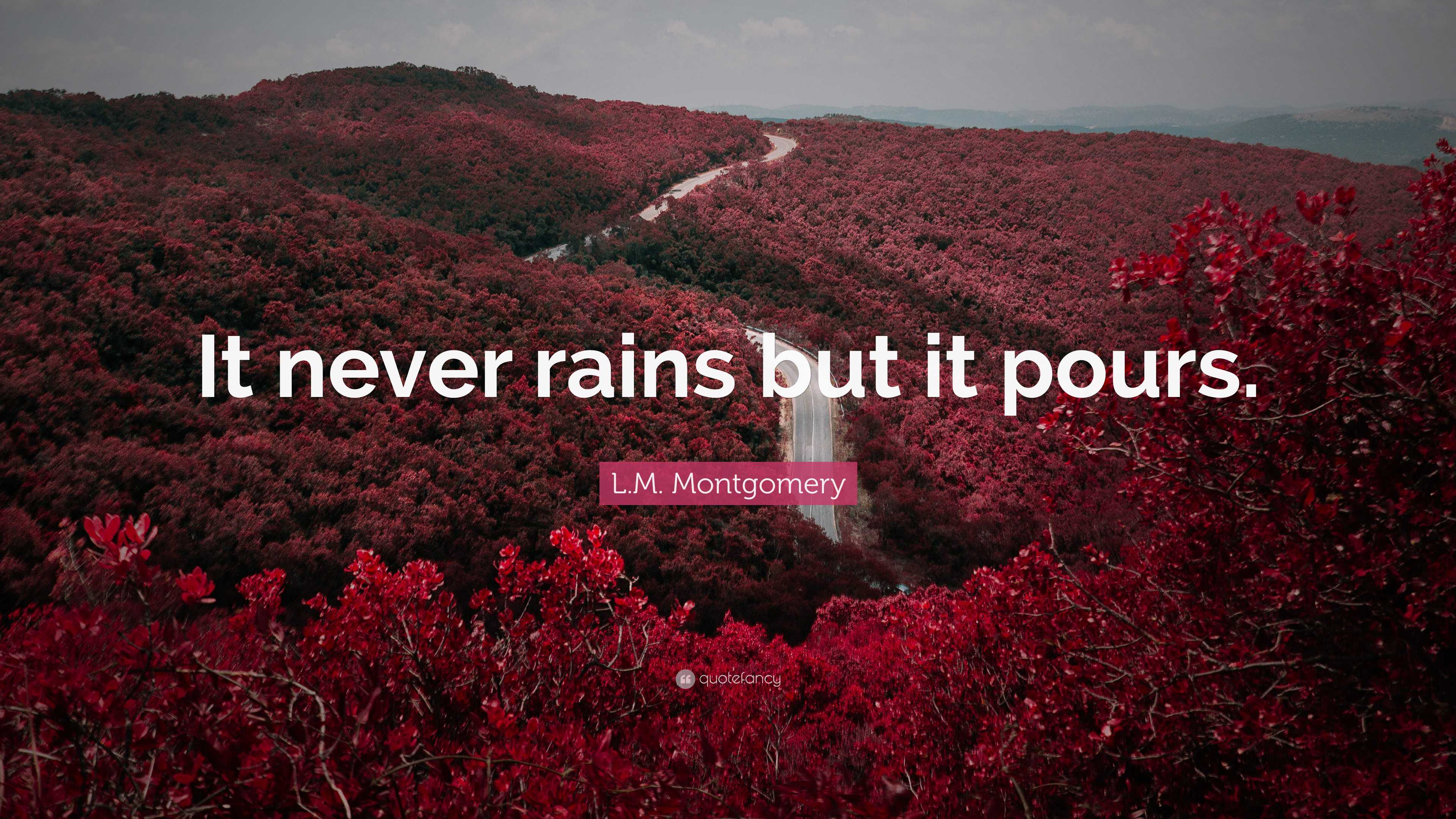 L.M. Montgomery Quote: “It never rains but it pours.”