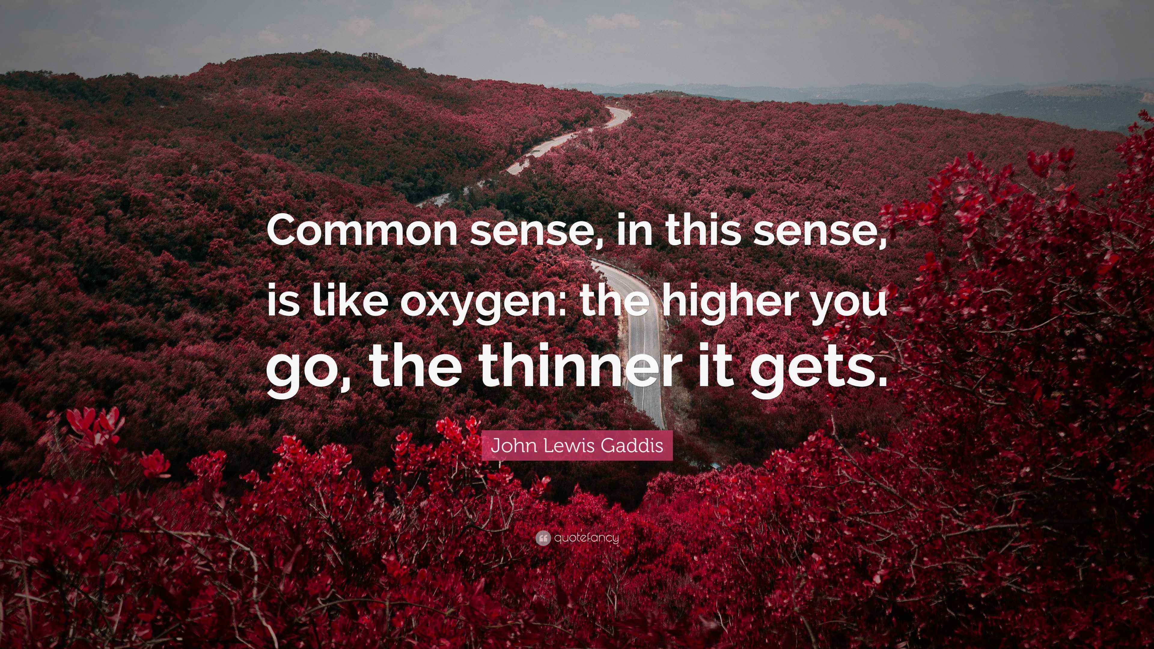 John Lewis Gaddis Quote: “Common sense, in this sense, is like oxygen ...