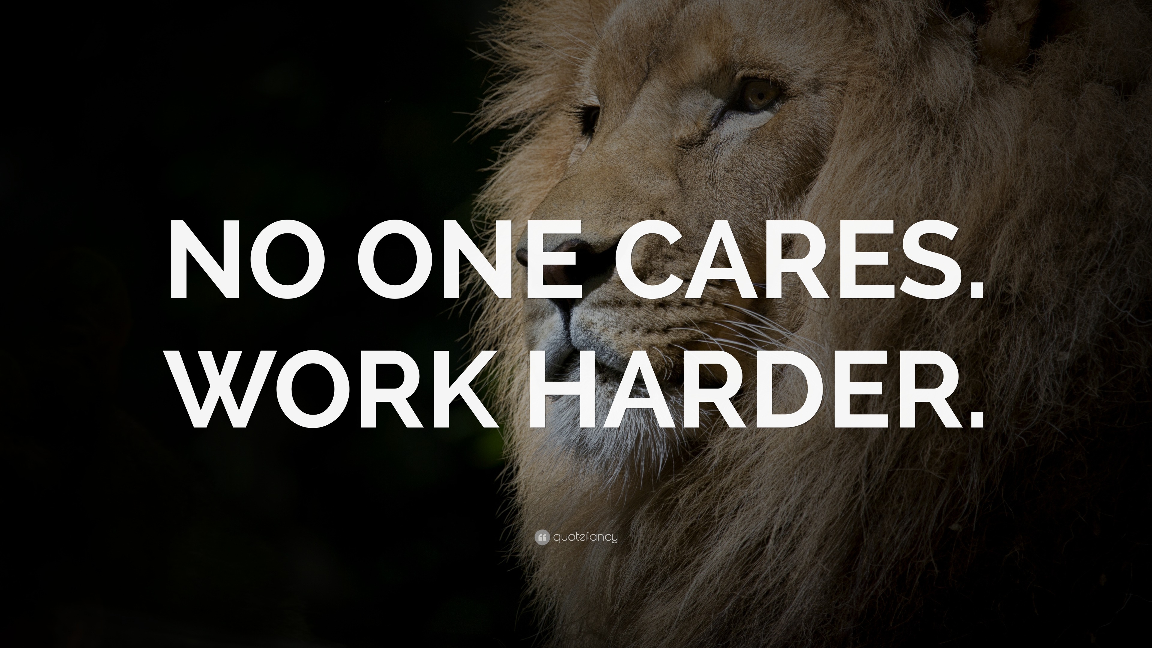 “NO ONE CARES. WORK HARDER.” Wallpaper by QuoteFancy