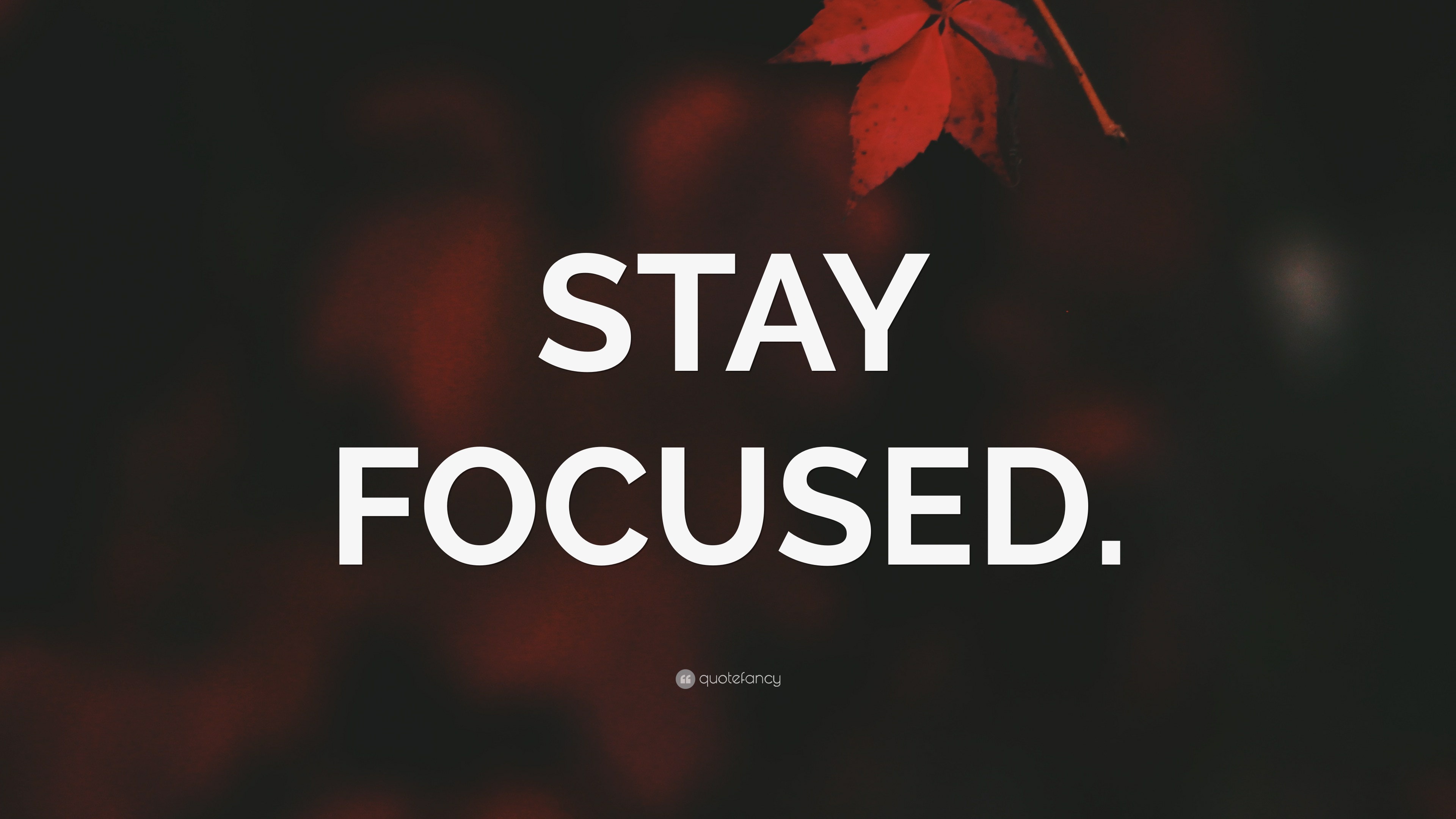 “STAY FOCUSED.” Wallpaper by QuoteFancy