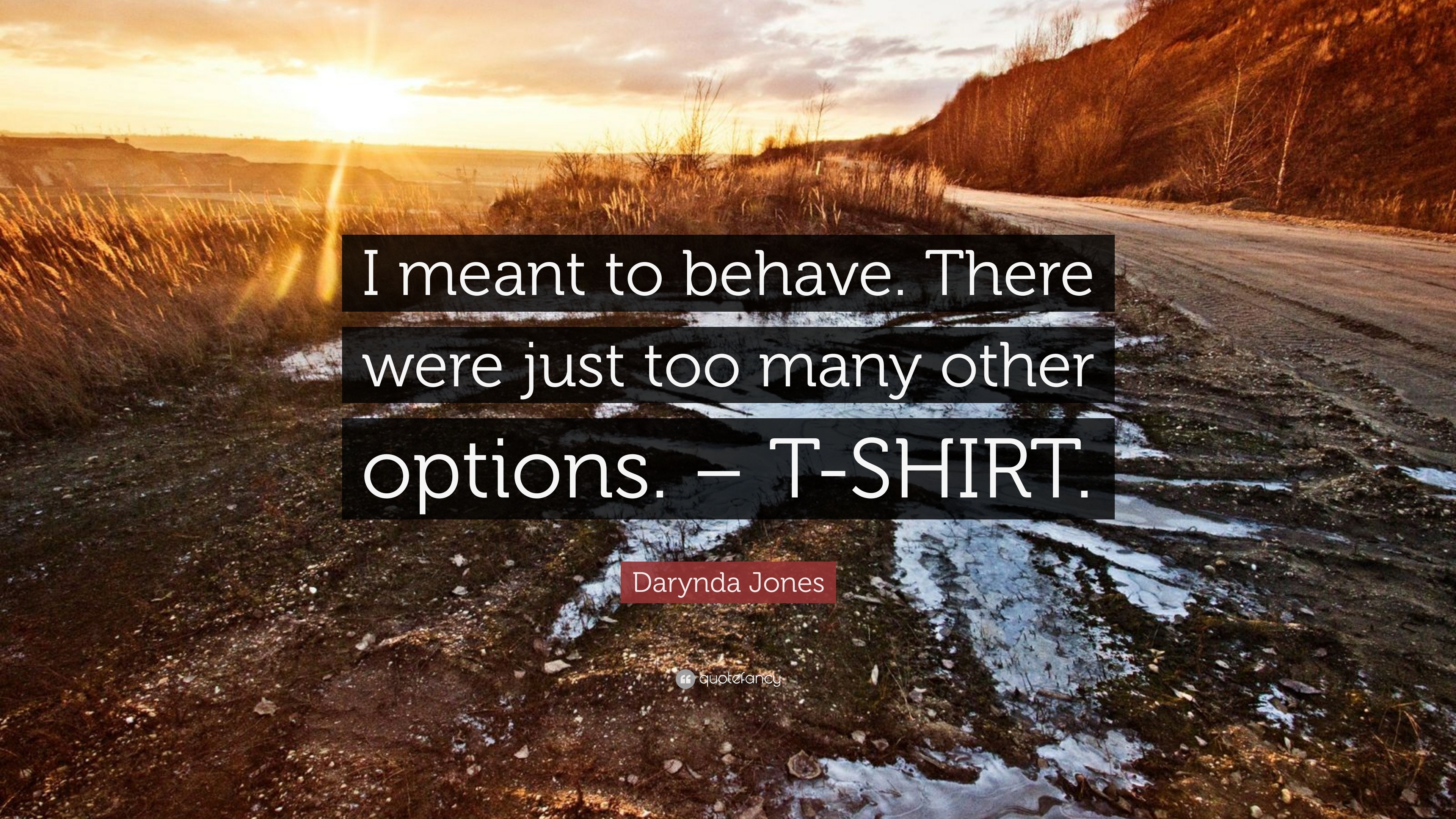 Darynda Jones Quote: “I meant to behave. There were just too many other ...