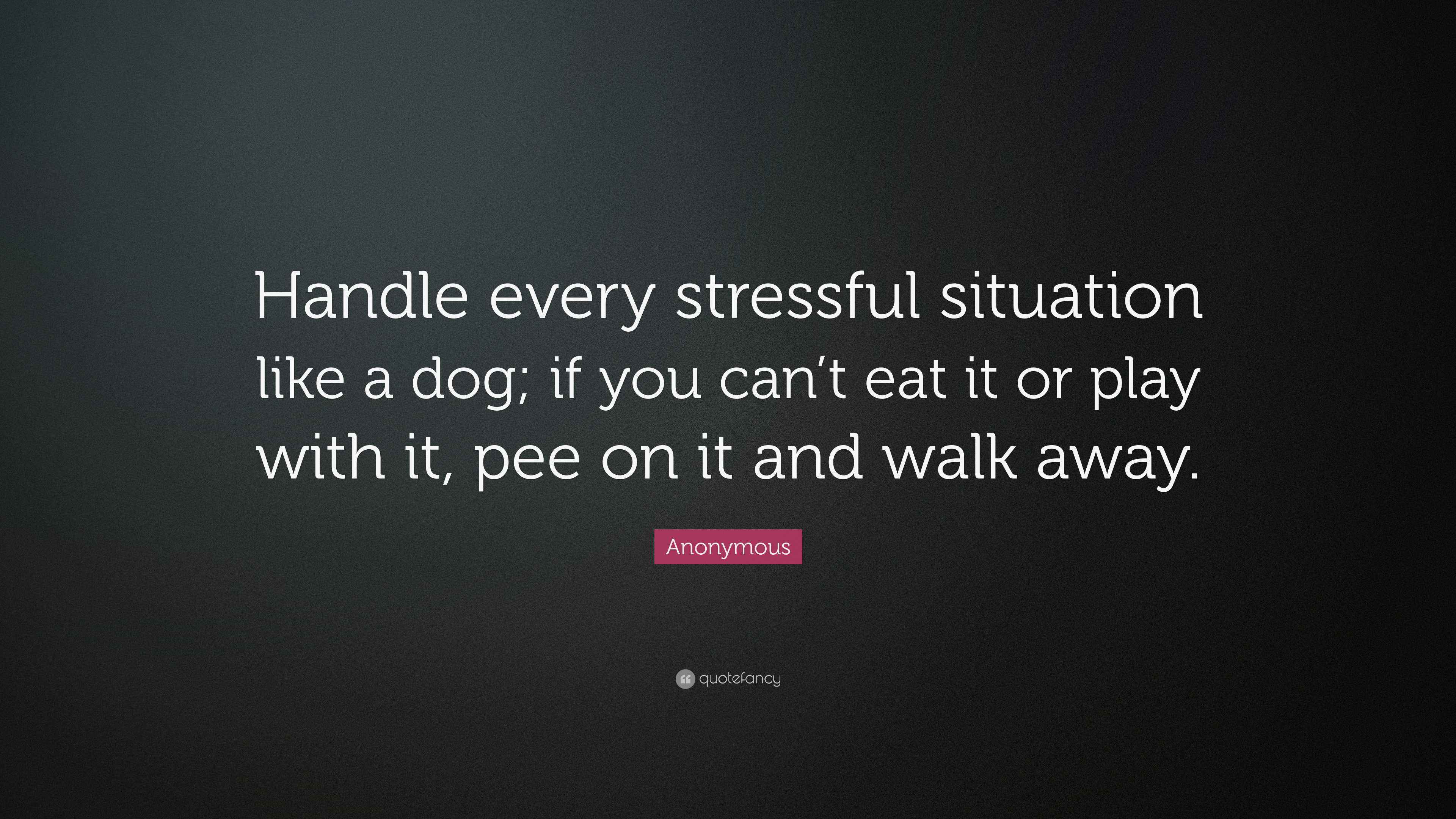 Anonymous Quote: “Handle every stressful situation like a dog; if you ...