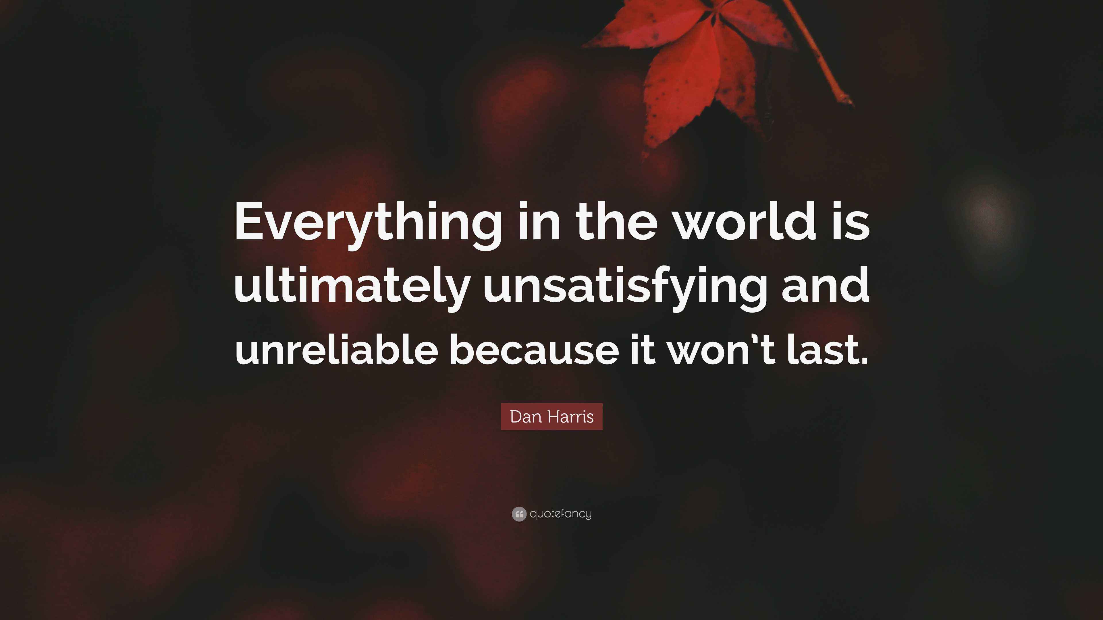 Dan Harris Quote: “Everything in the world is ultimately unsatisfying ...