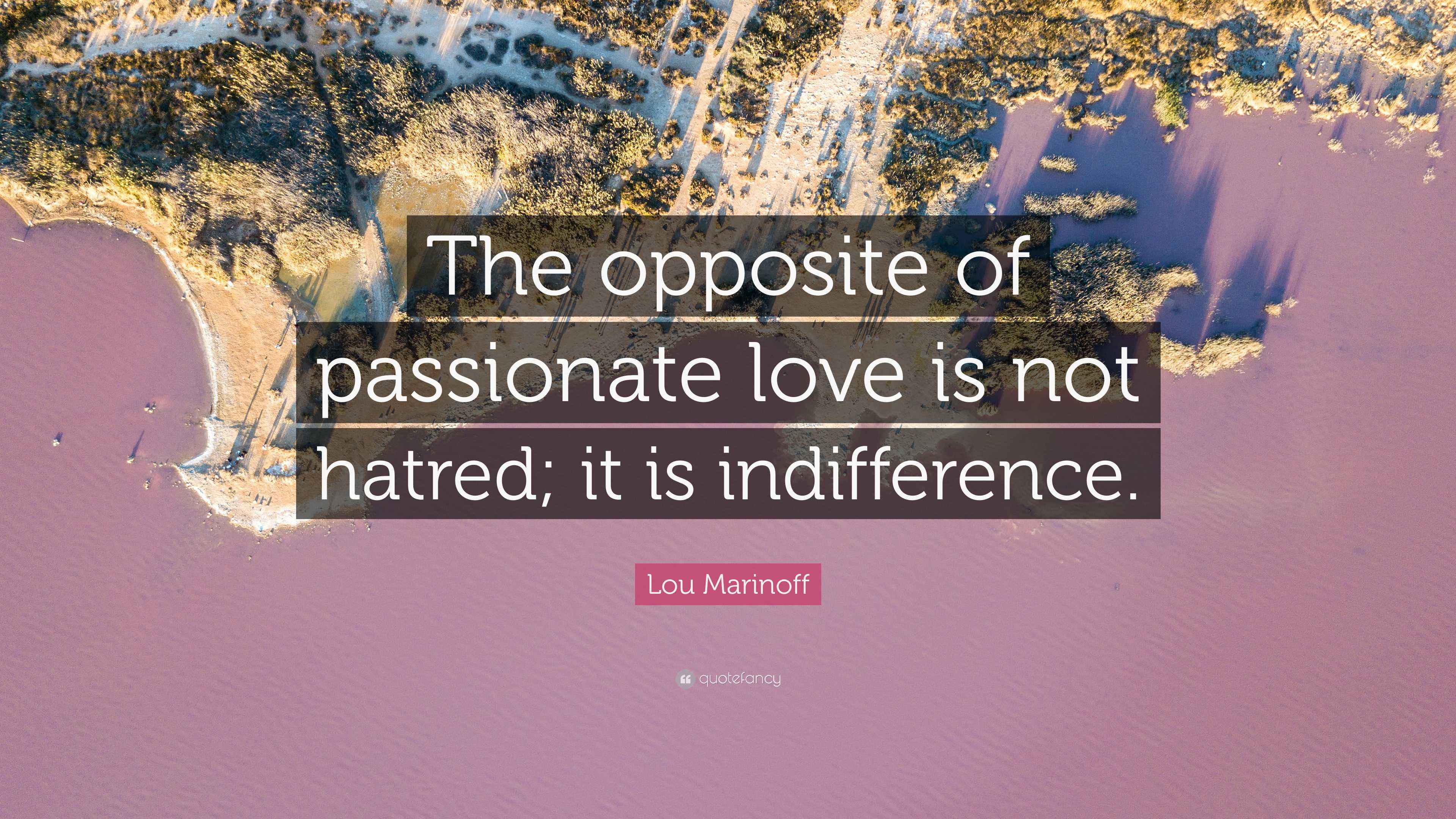 Lou Marinoff Quote: “The opposite of passionate love is not hatred; it ...