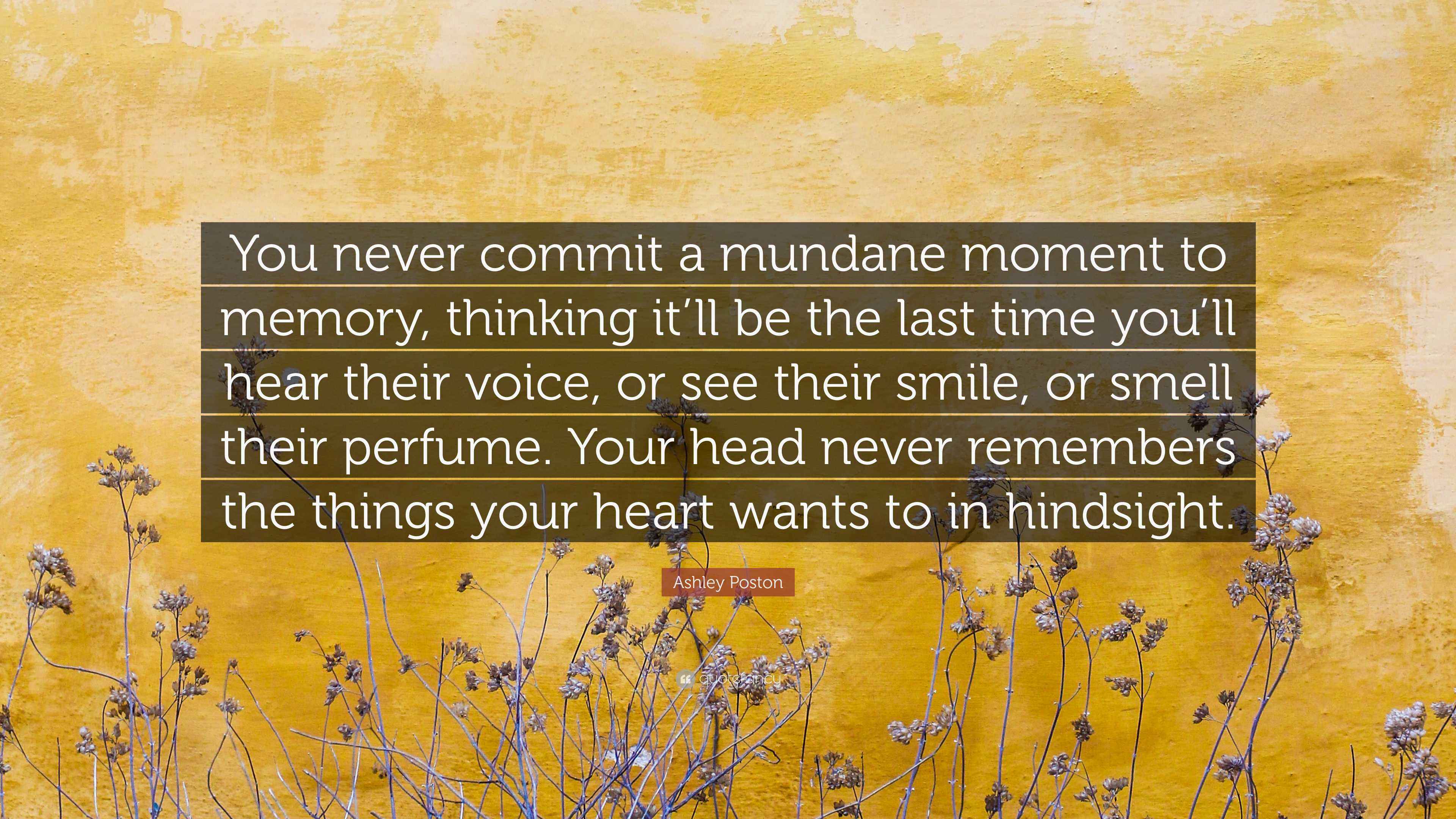 Ashley Poston Quote: “You never commit a mundane moment to memory ...