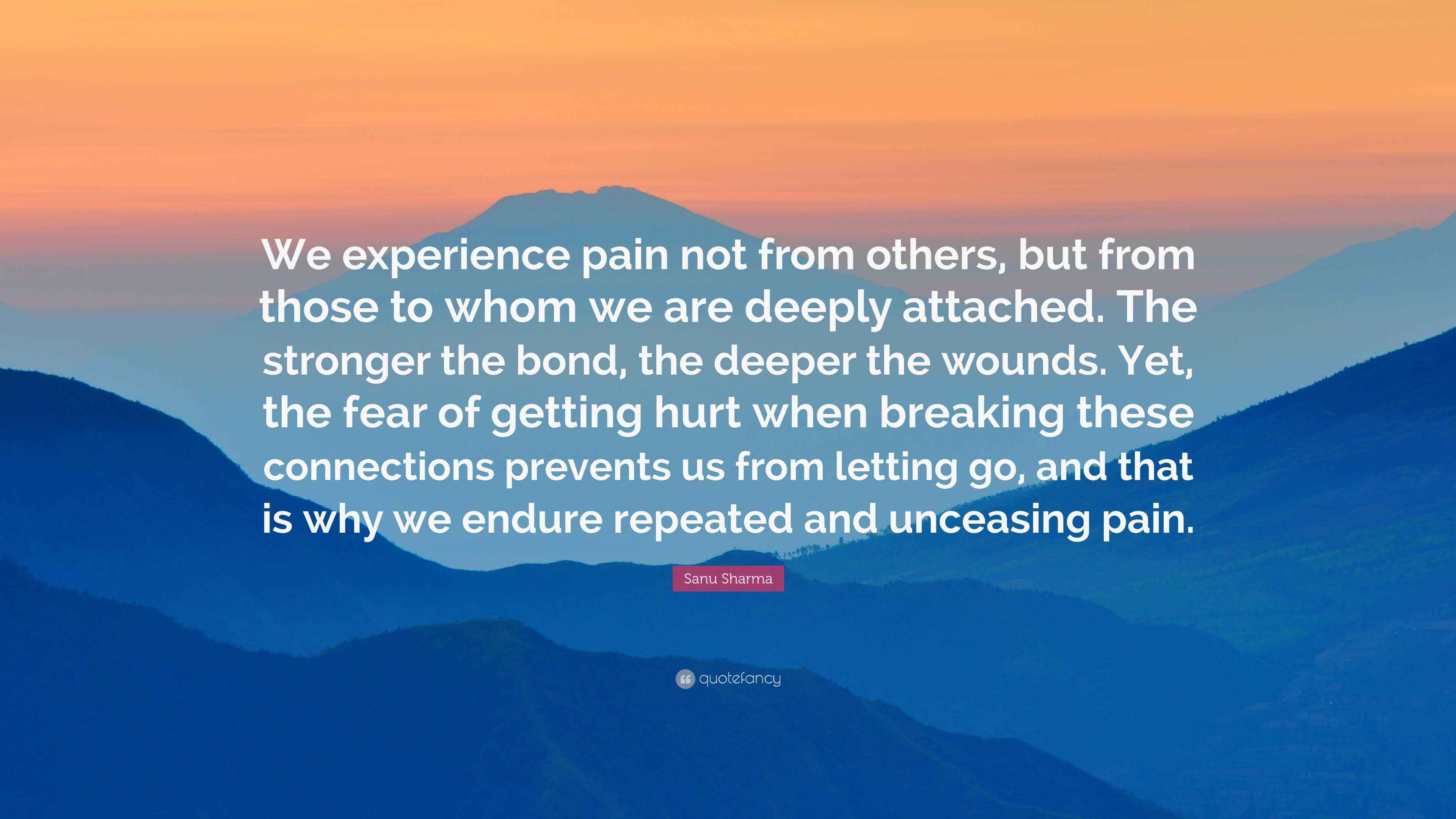 Sanu Sharma Quote: “We experience pain not from others, but from those ...