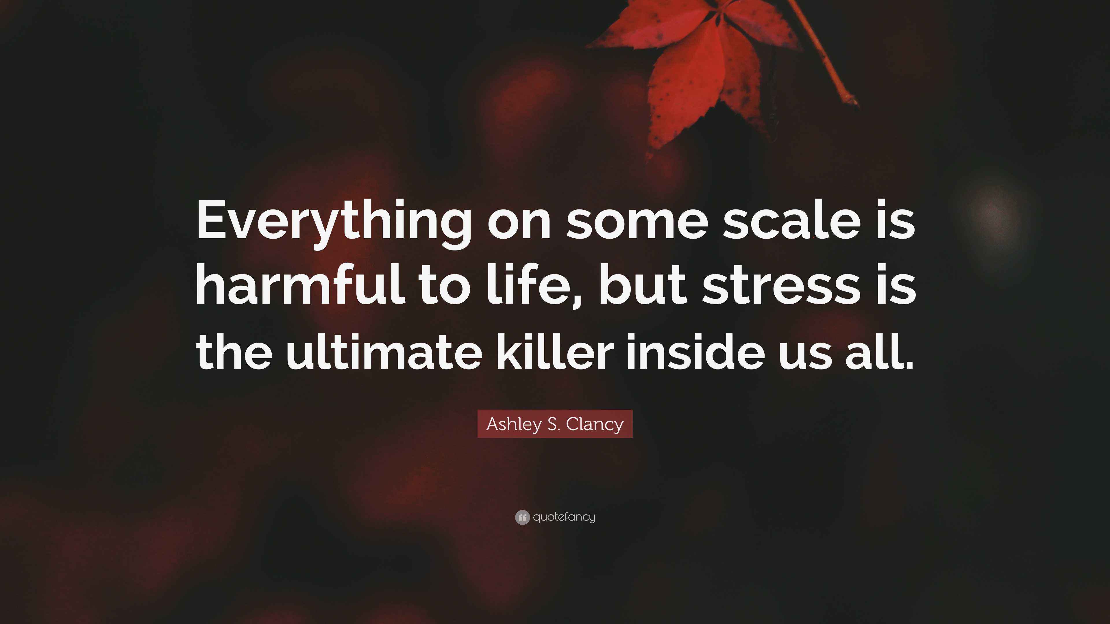 Ashley S. Clancy Quote: “Everything on some scale is harmful to life ...