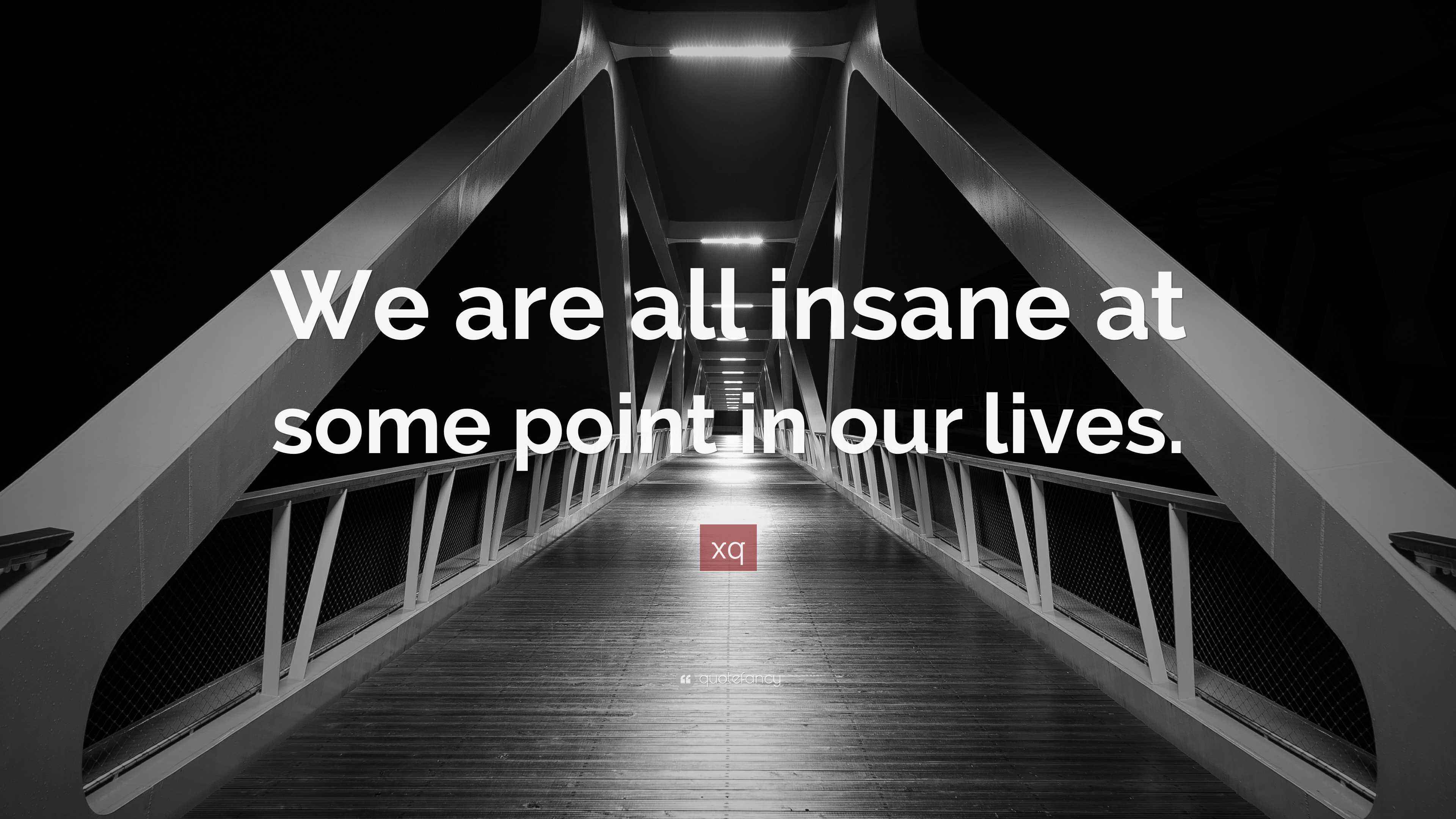 xq Quote: “We are all insane at some point in our lives.”