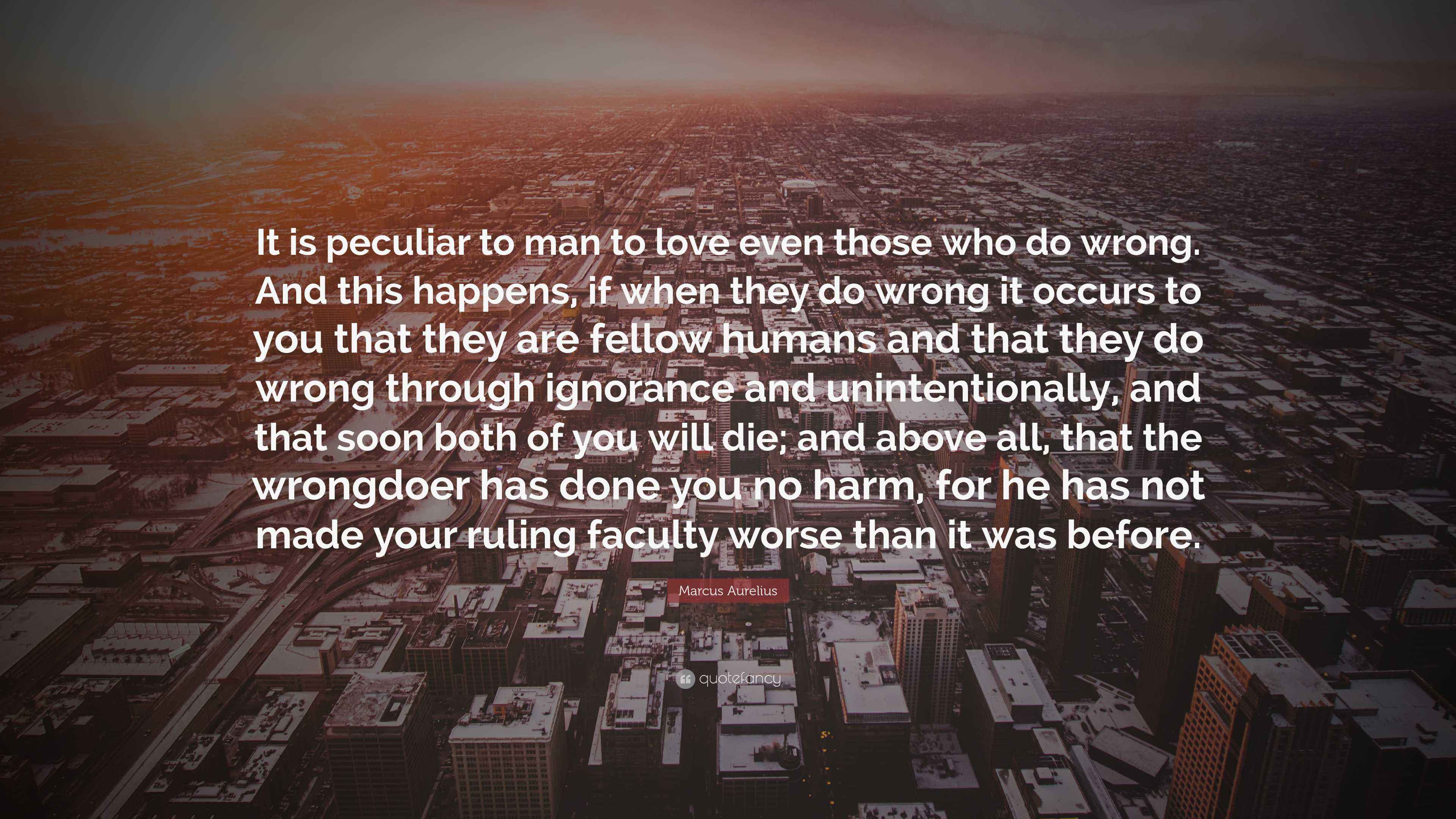 Marcus Aurelius Quote: “It is peculiar to man to love even those who do ...