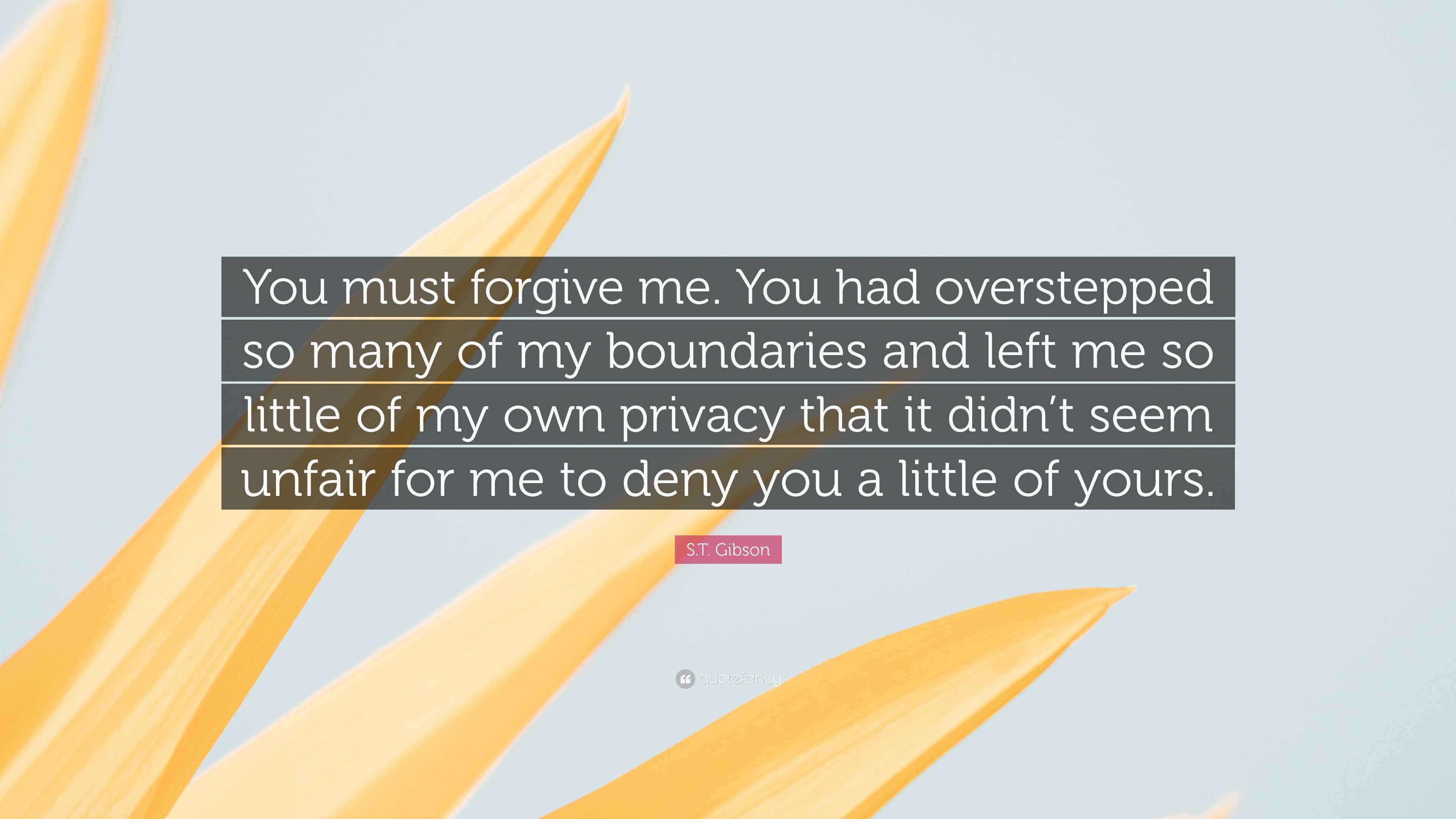 S.T. Gibson Quote: “You must forgive me. You had overstepped so many of ...