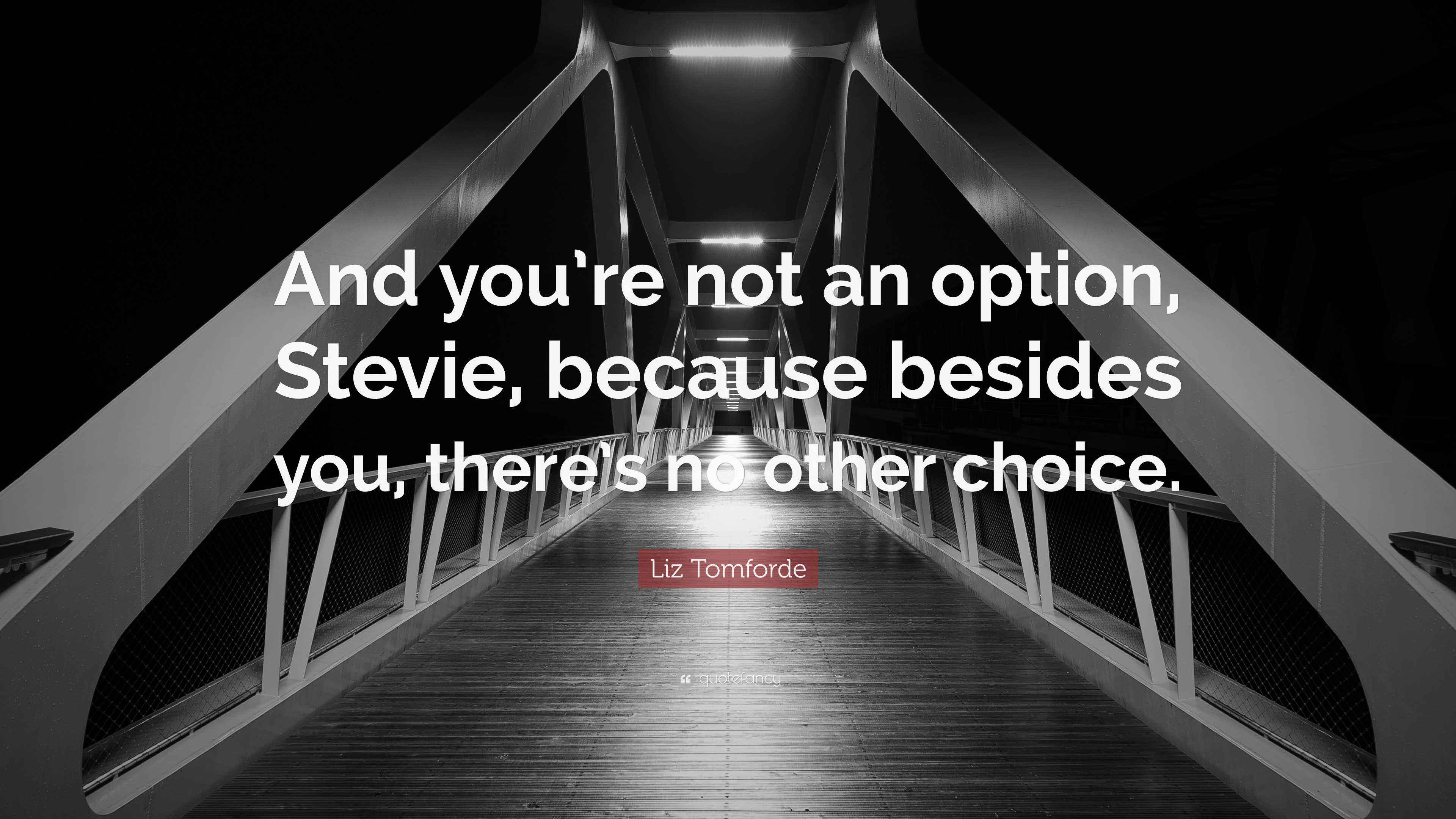 Liz Tomforde Quote: “And you’re not an option, Stevie, because besides ...