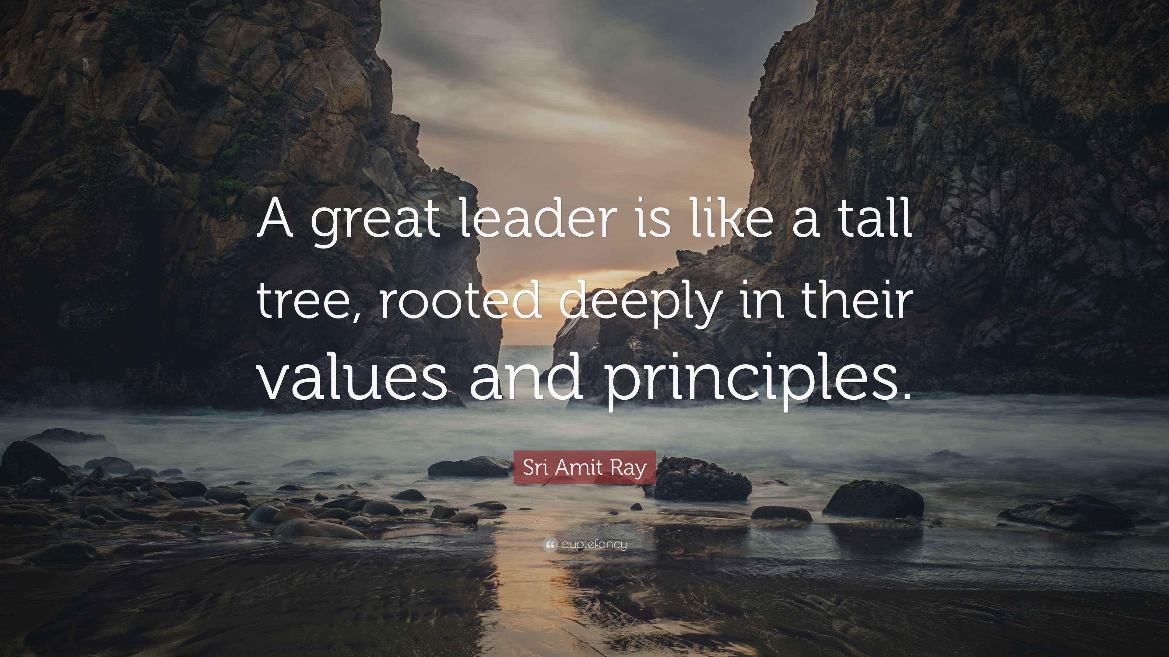 Sri Amit Ray Quote: “A great leader is like a tall tree, rooted deeply in their values and ...