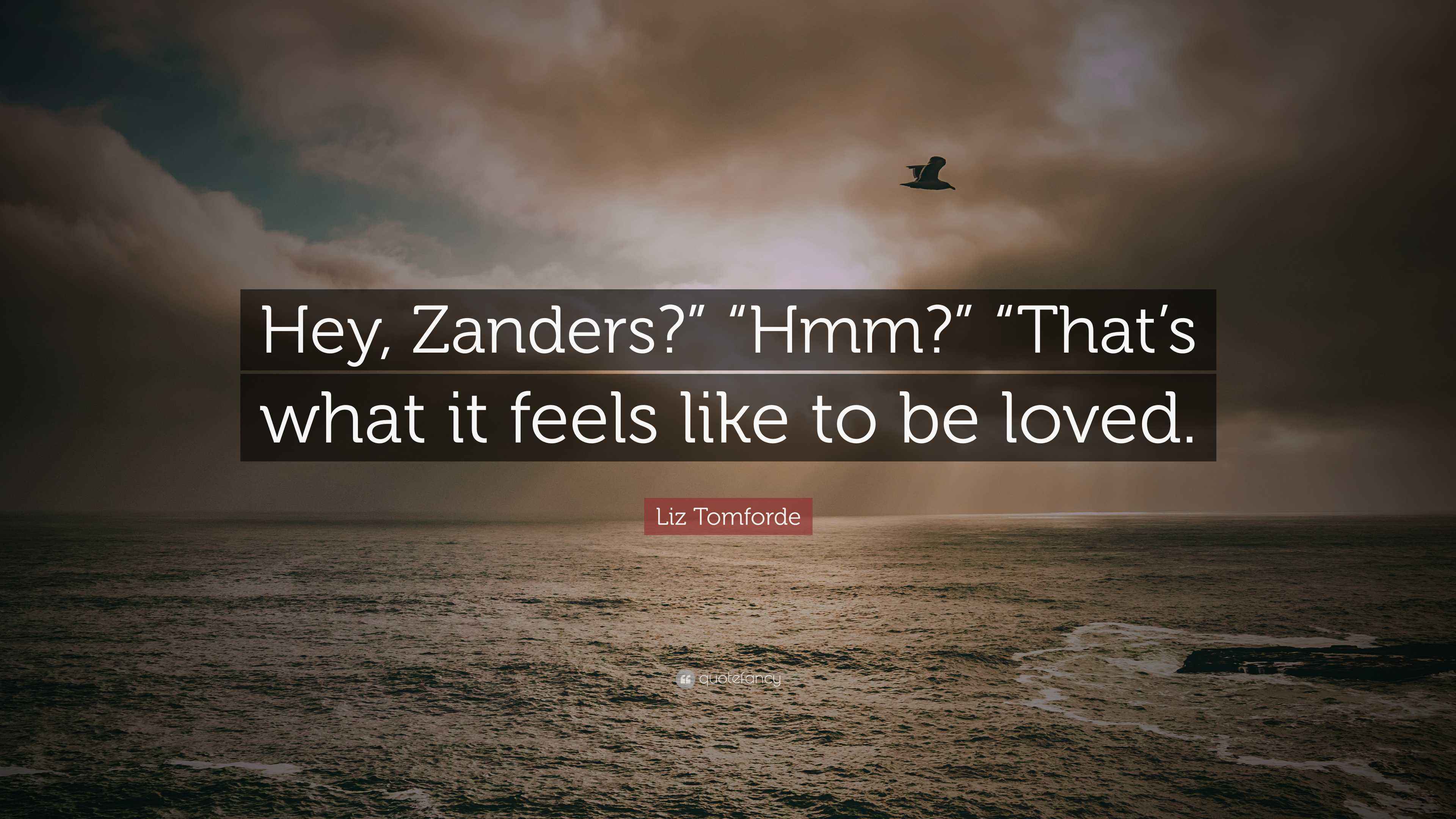 Liz Tomforde Quote: “Hey, Zanders?” “Hmm?” “That’s what it feels like ...