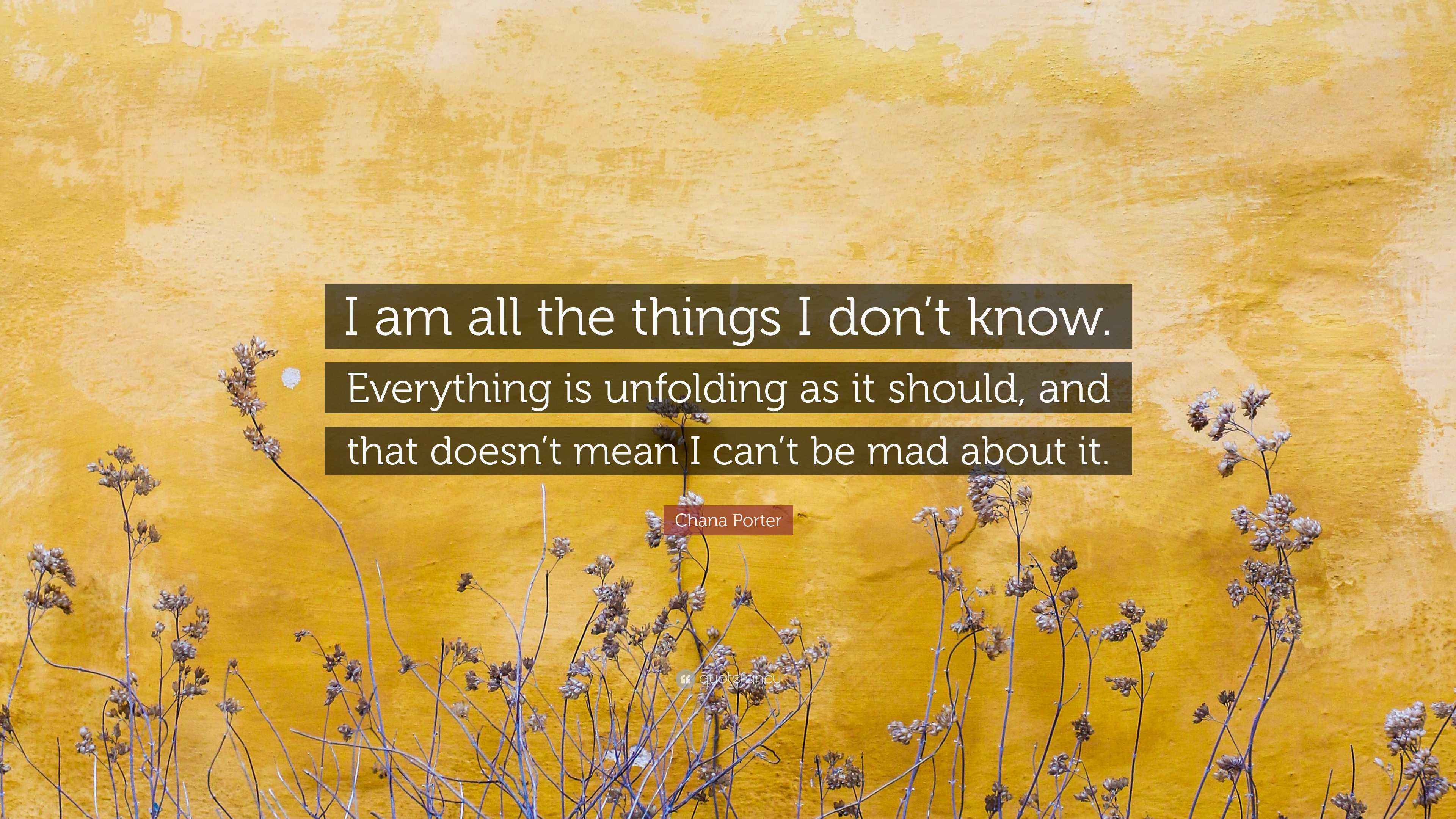 Chana Porter Quote: “I am all the things I don’t know. Everything is ...