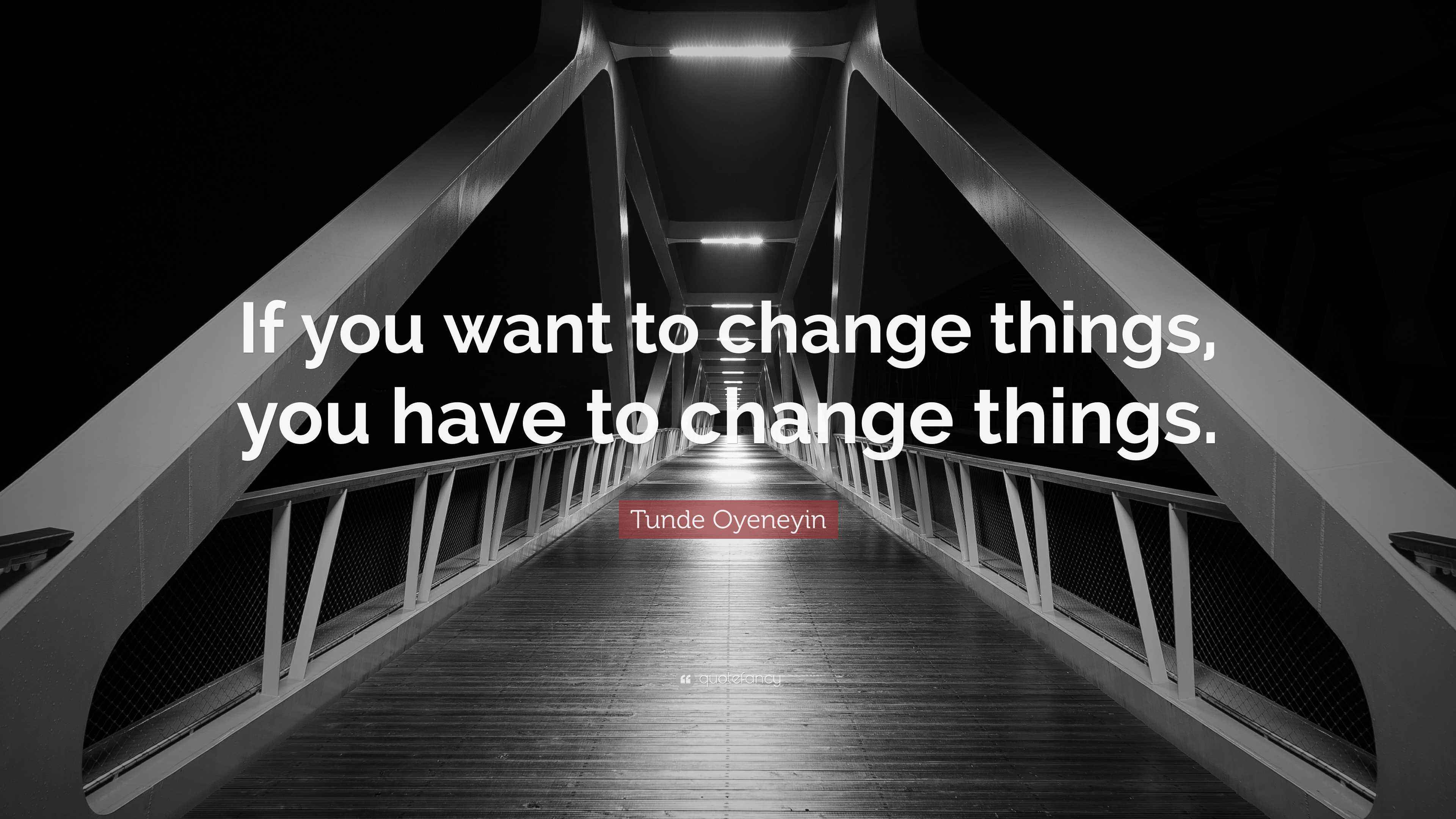 Tunde Oyeneyin Quote: “If you want to change things, you have to change ...