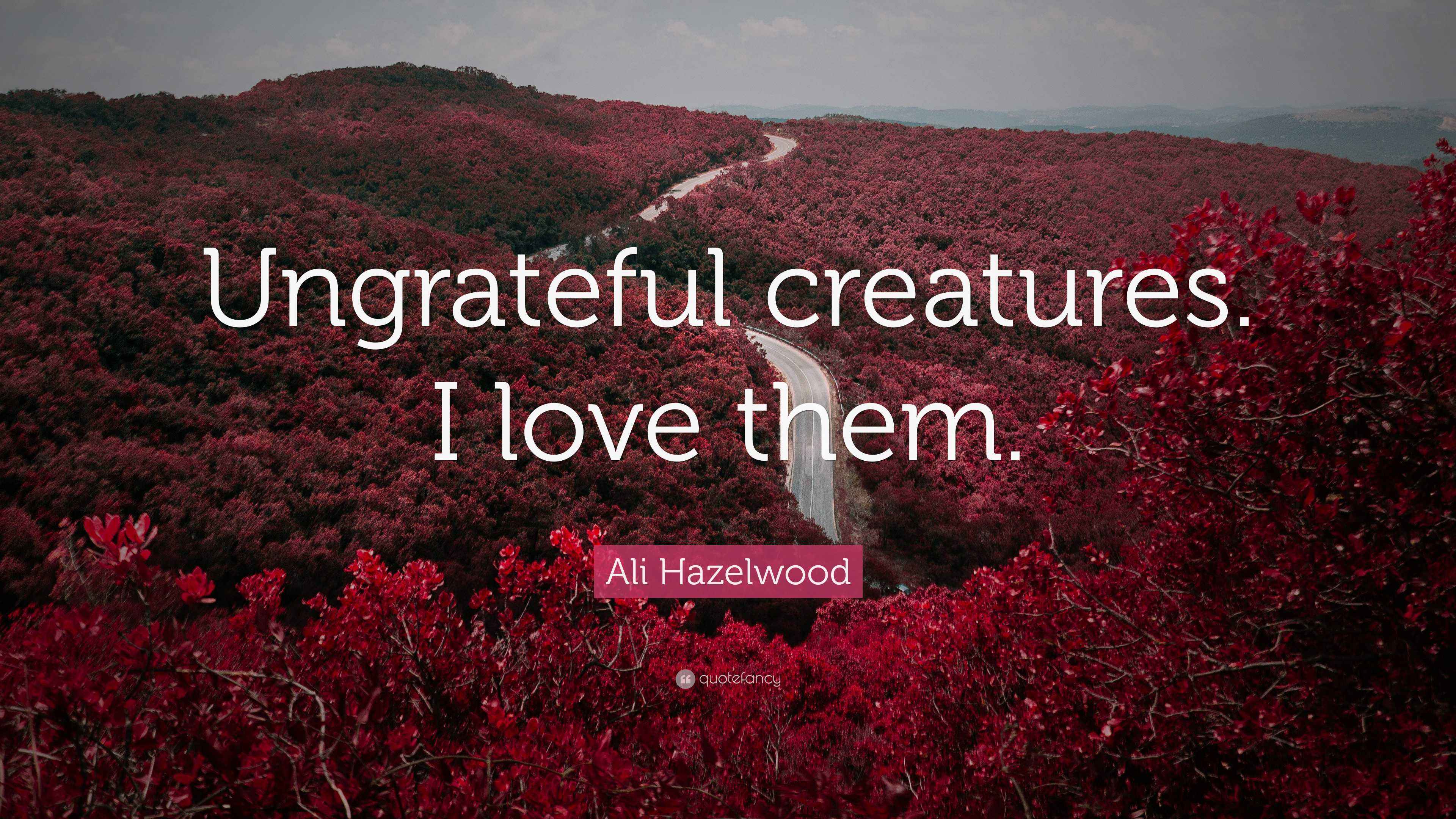 Ali Hazelwood Quote: “Ungrateful creatures. I love them.”