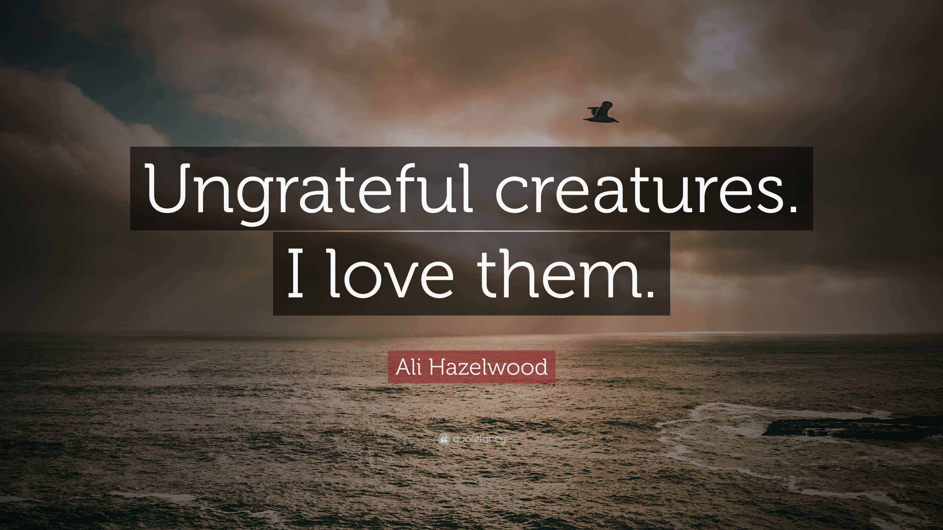 Ali Hazelwood Quote: “Ungrateful creatures. I love them.”