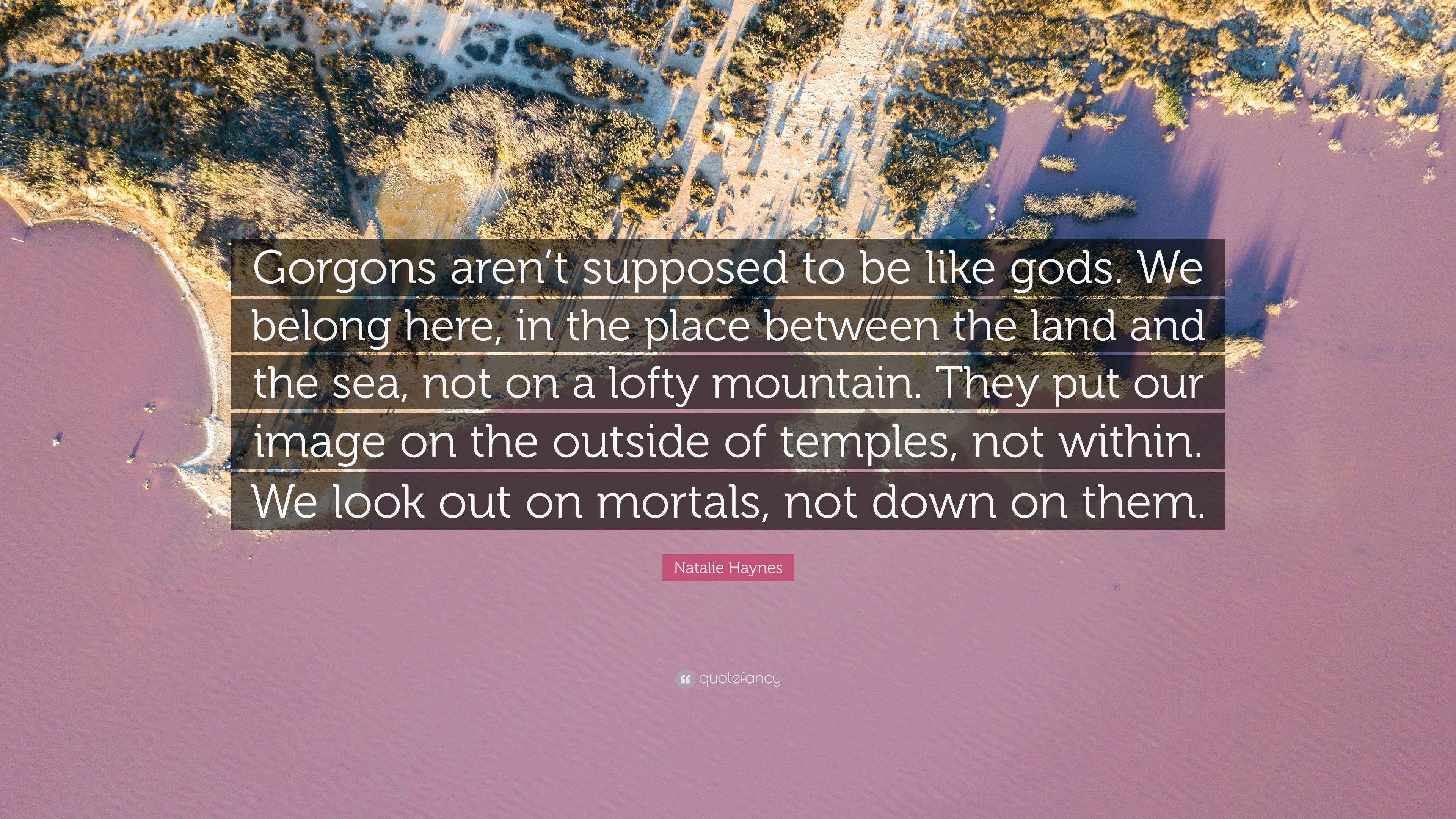 Natalie Haynes Quote: “Gorgons aren’t supposed to be like gods. We ...