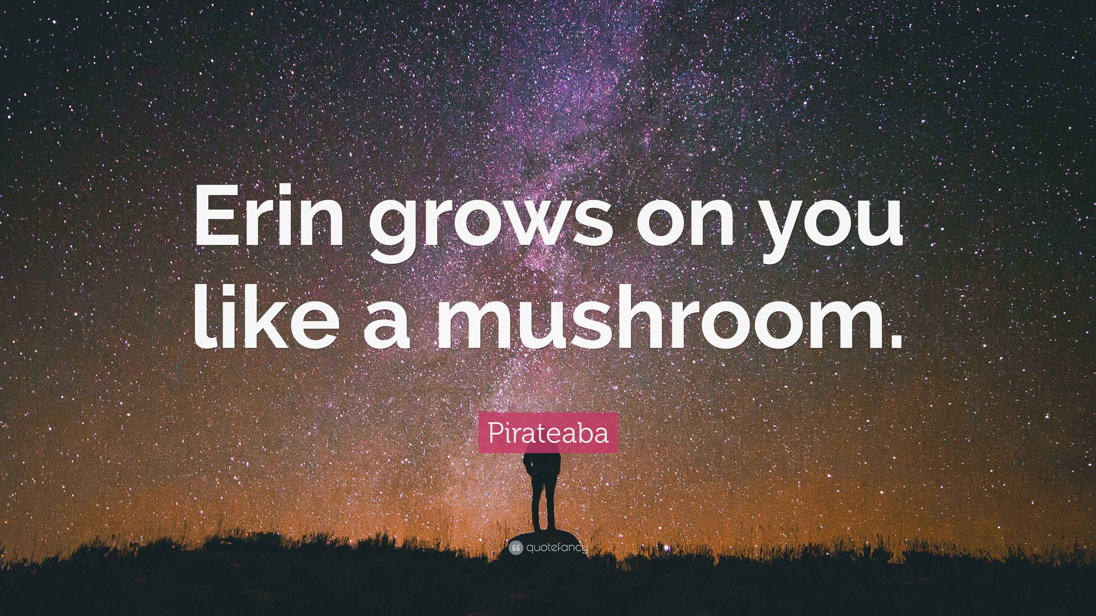 Pirateaba Quote: “Erin grows on you like a mushroom.”