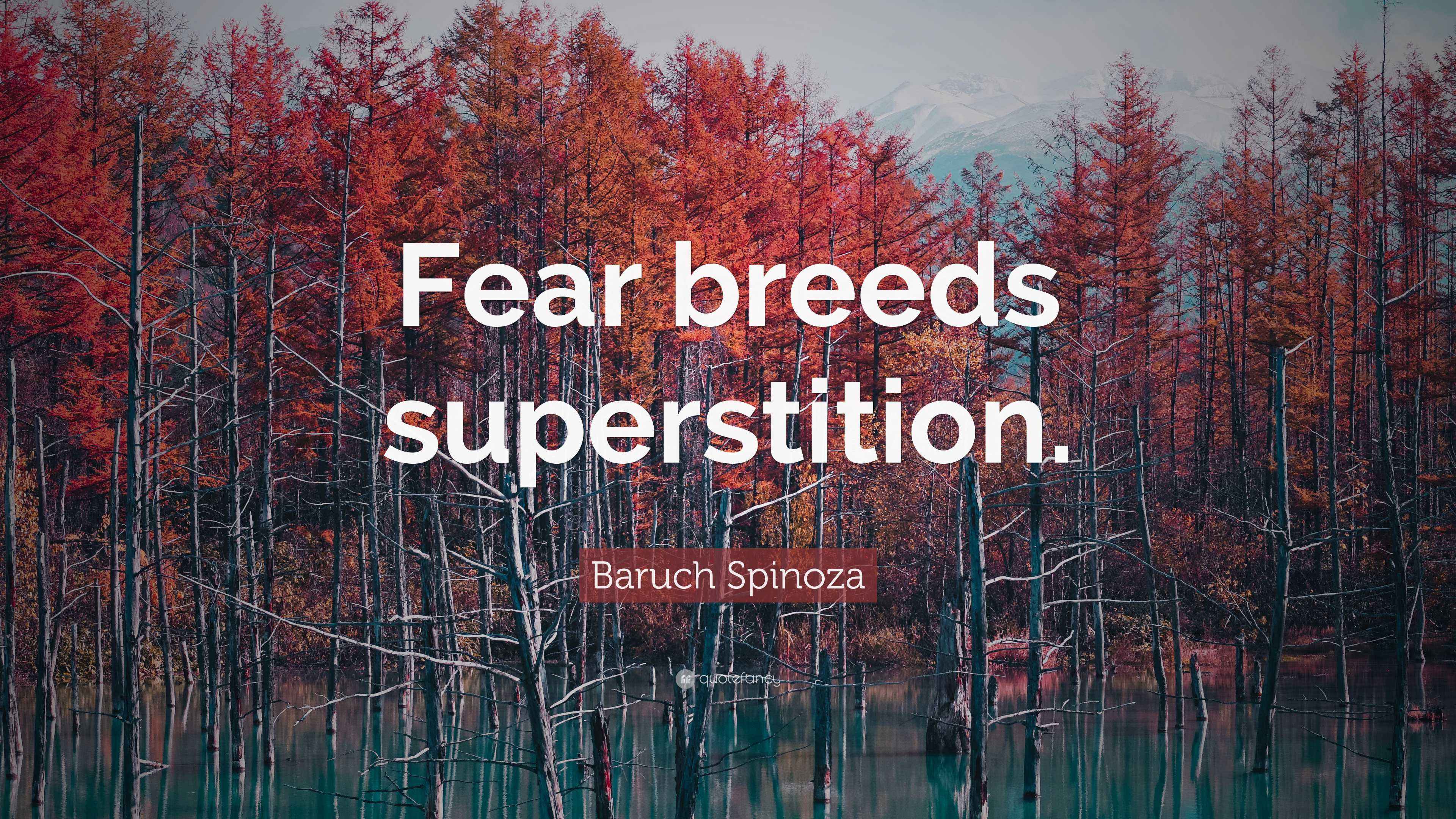 Baruch Spinoza Quote: “Fear breeds superstition.”