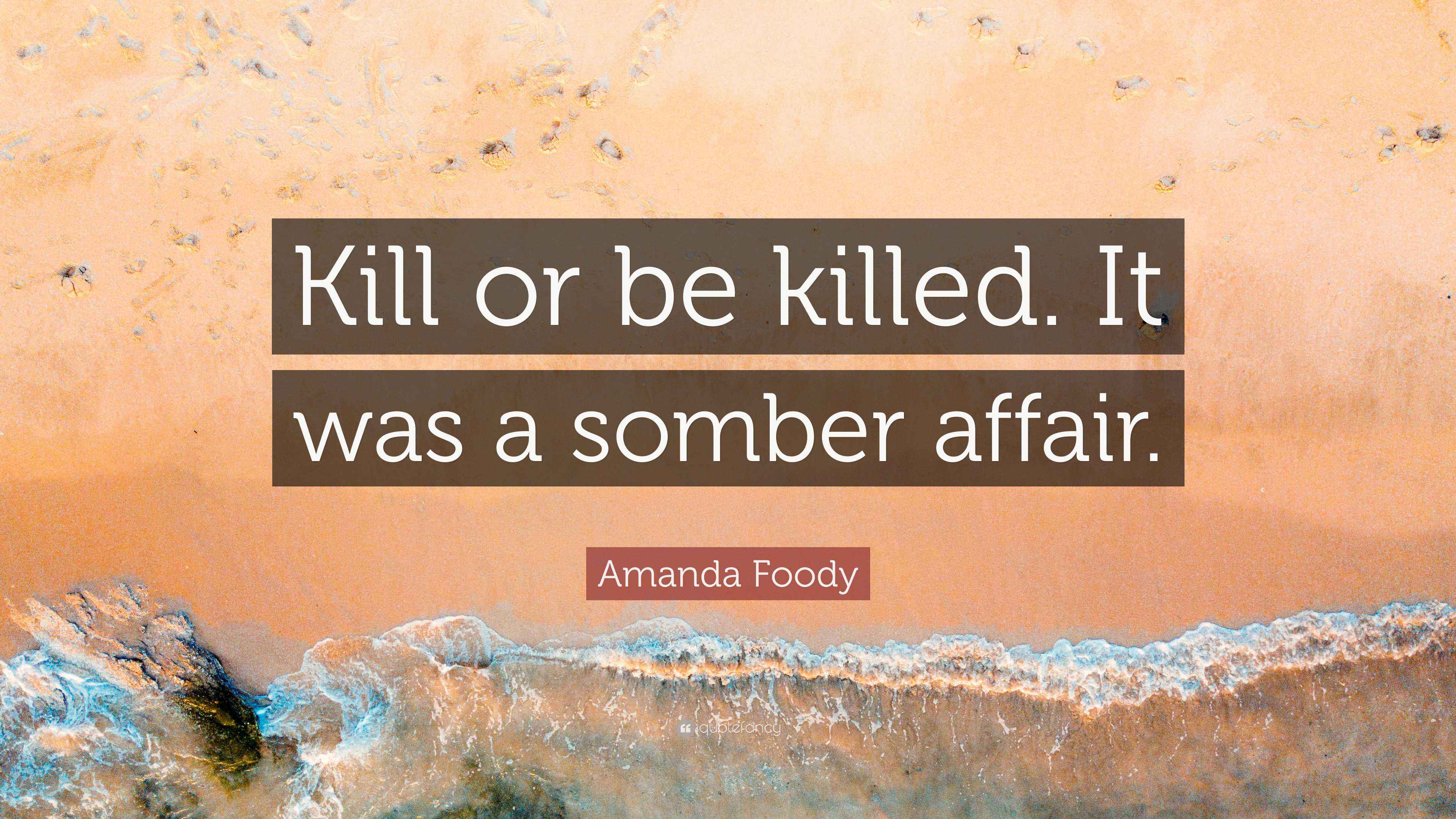 Amanda Foody Quote: “Kill or be killed. It was a somber affair.”