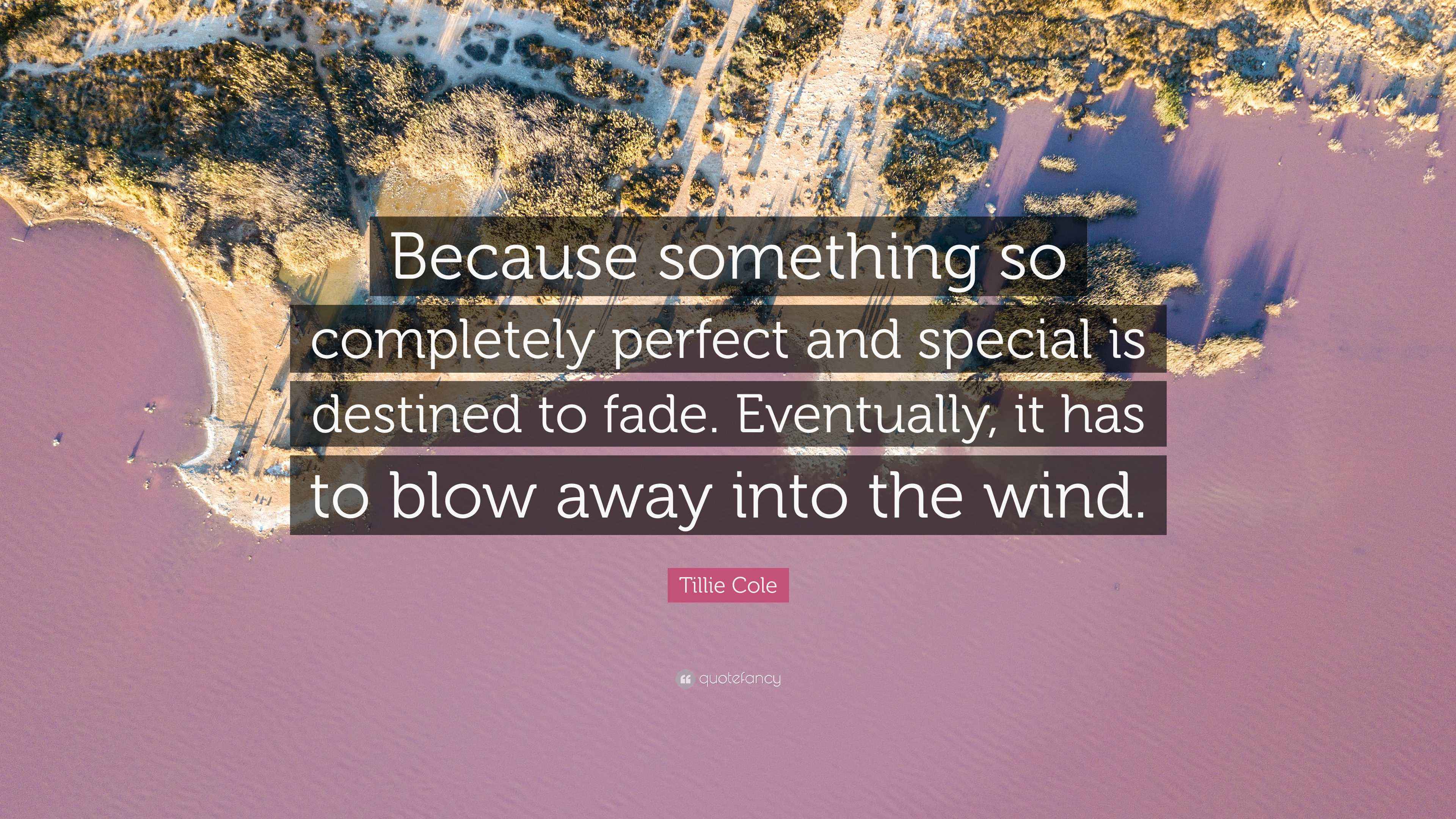 Tillie Cole Quote: “Because something so completely perfect and special ...