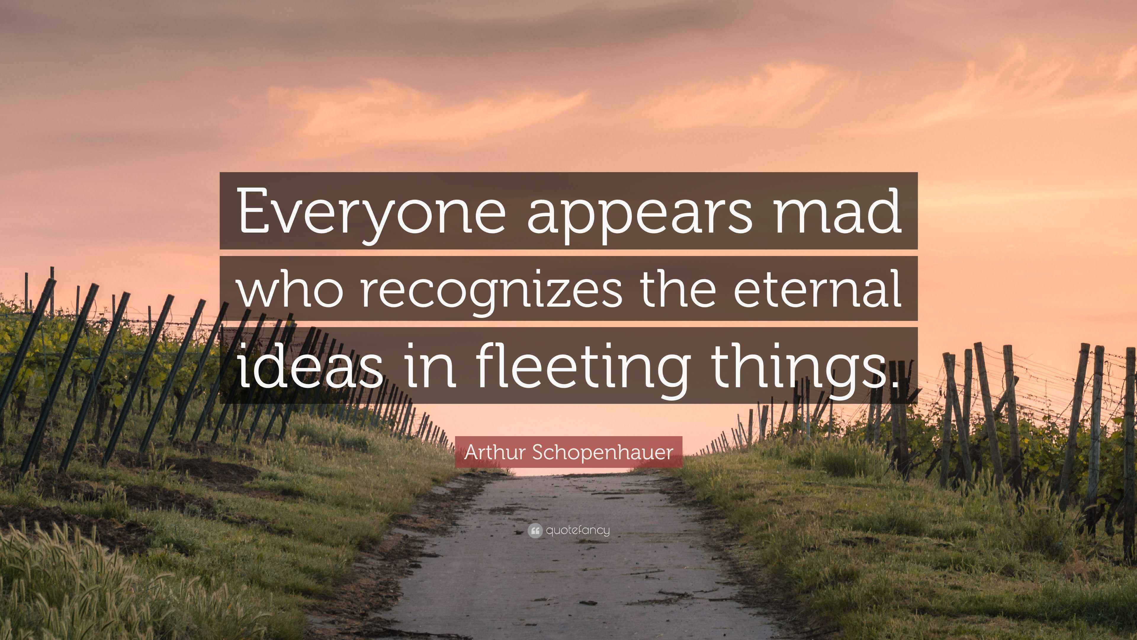 Arthur Schopenhauer Quote: “Everyone appears mad who recognizes the ...