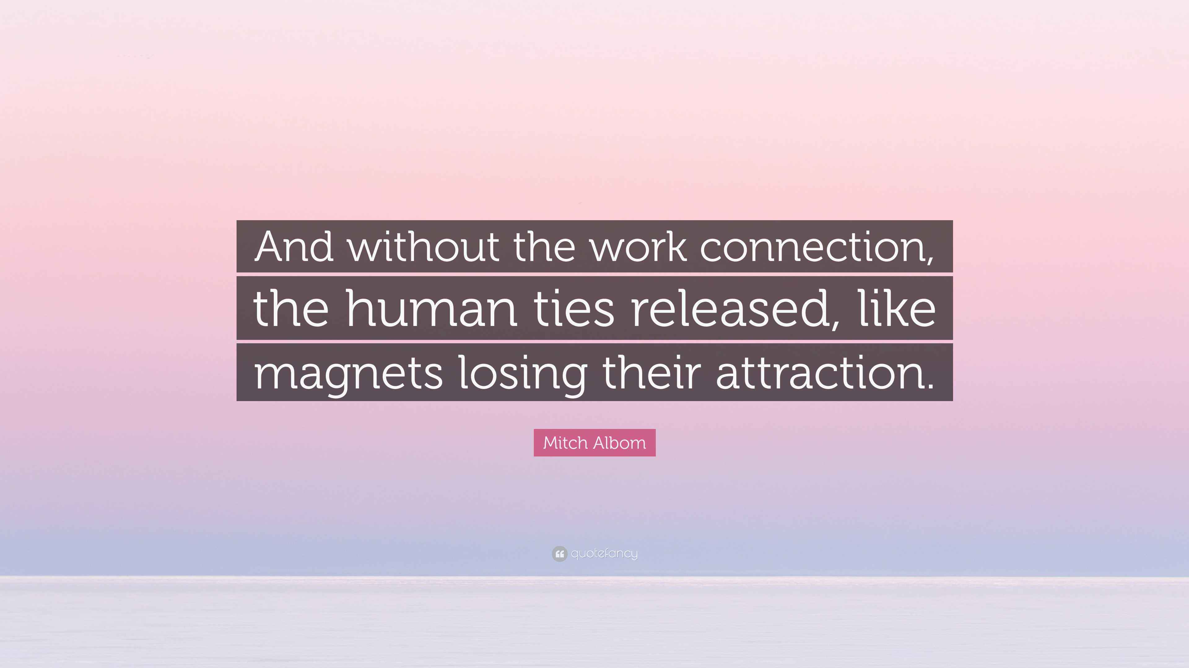Mitch Albom Quote: “And without the work connection, the human ties ...