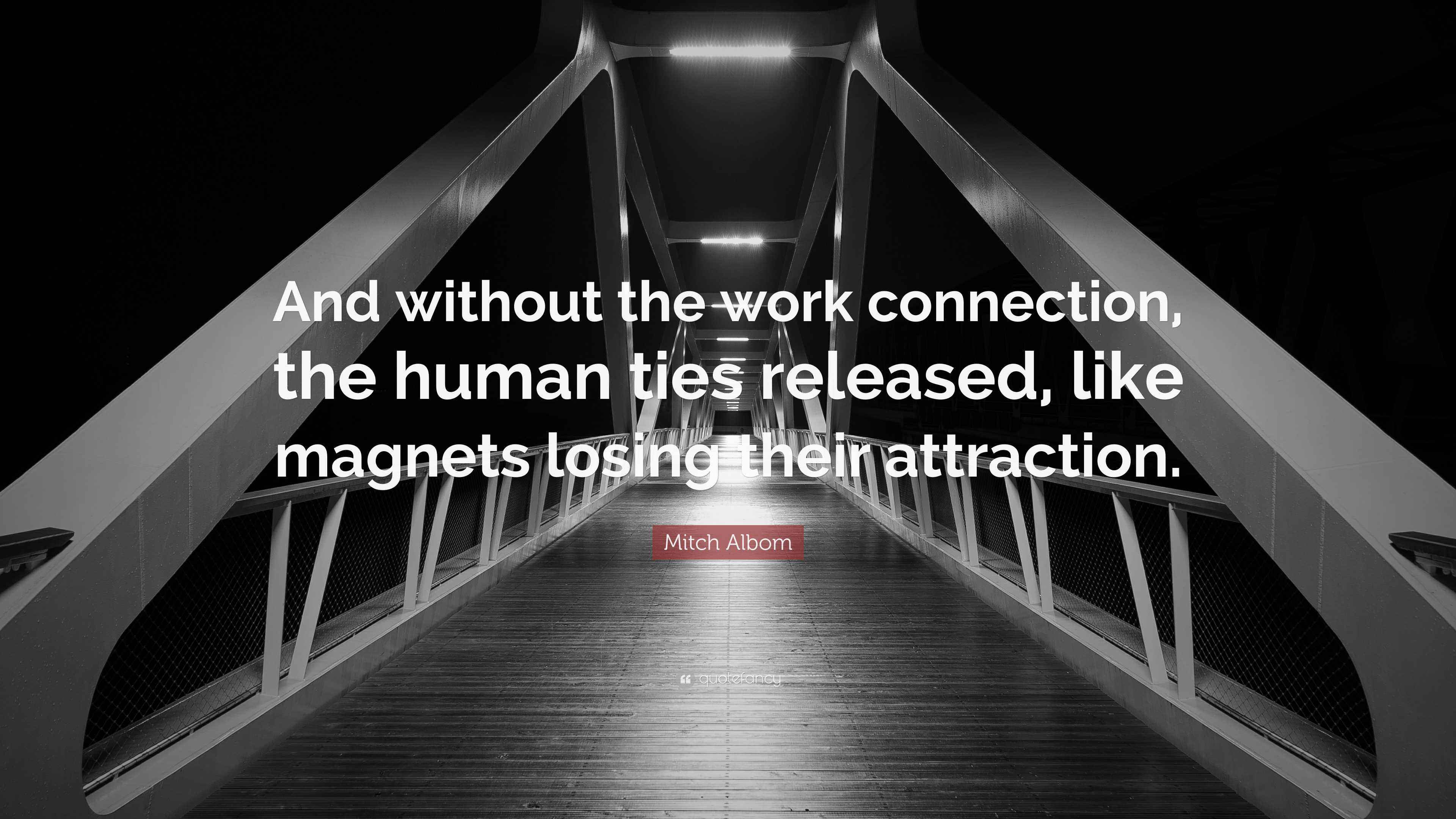 Mitch Albom Quote: “And without the work connection, the human ties ...