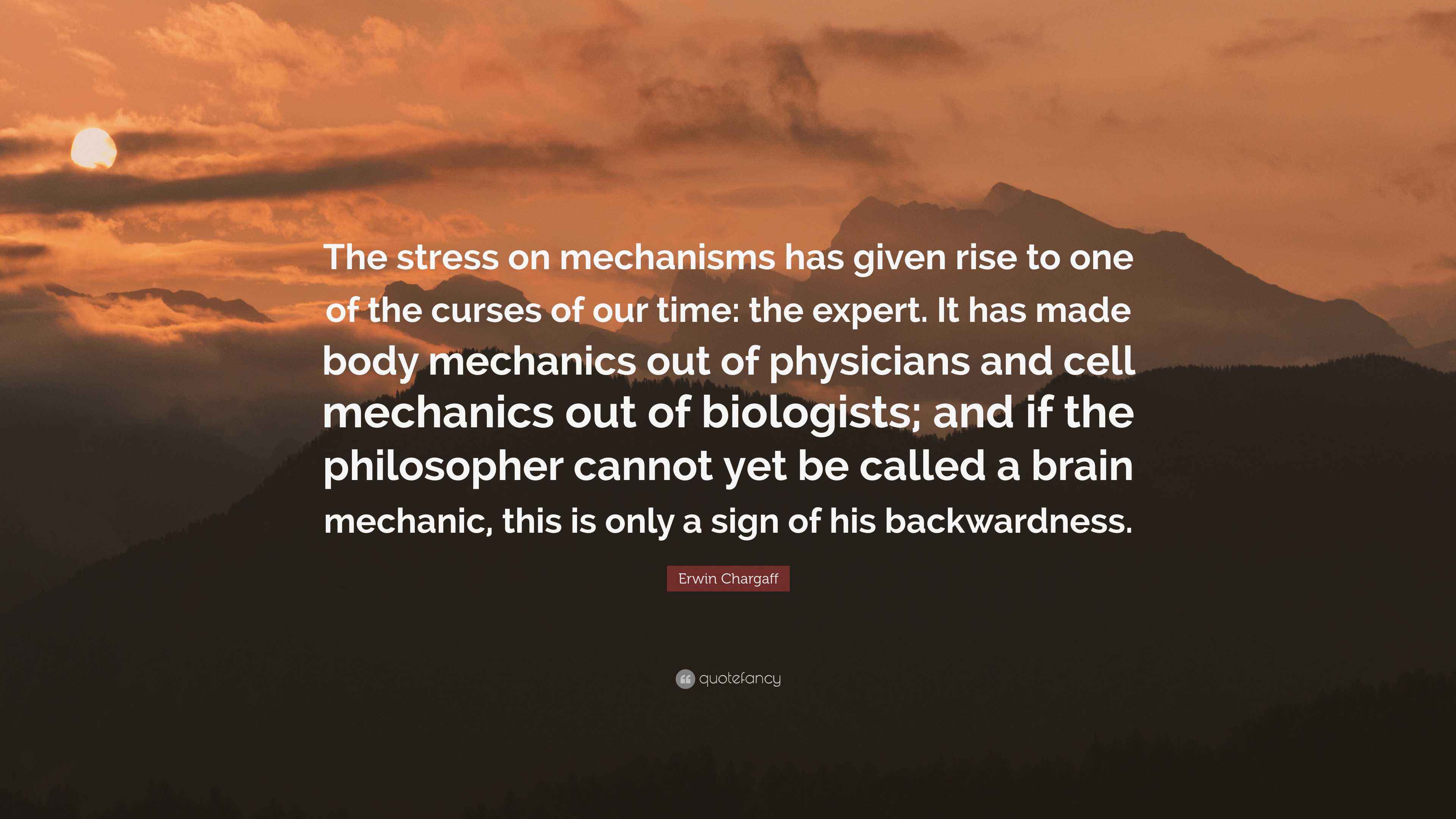 Erwin Chargaff Quote: “The stress on mechanisms has given rise to one ...
