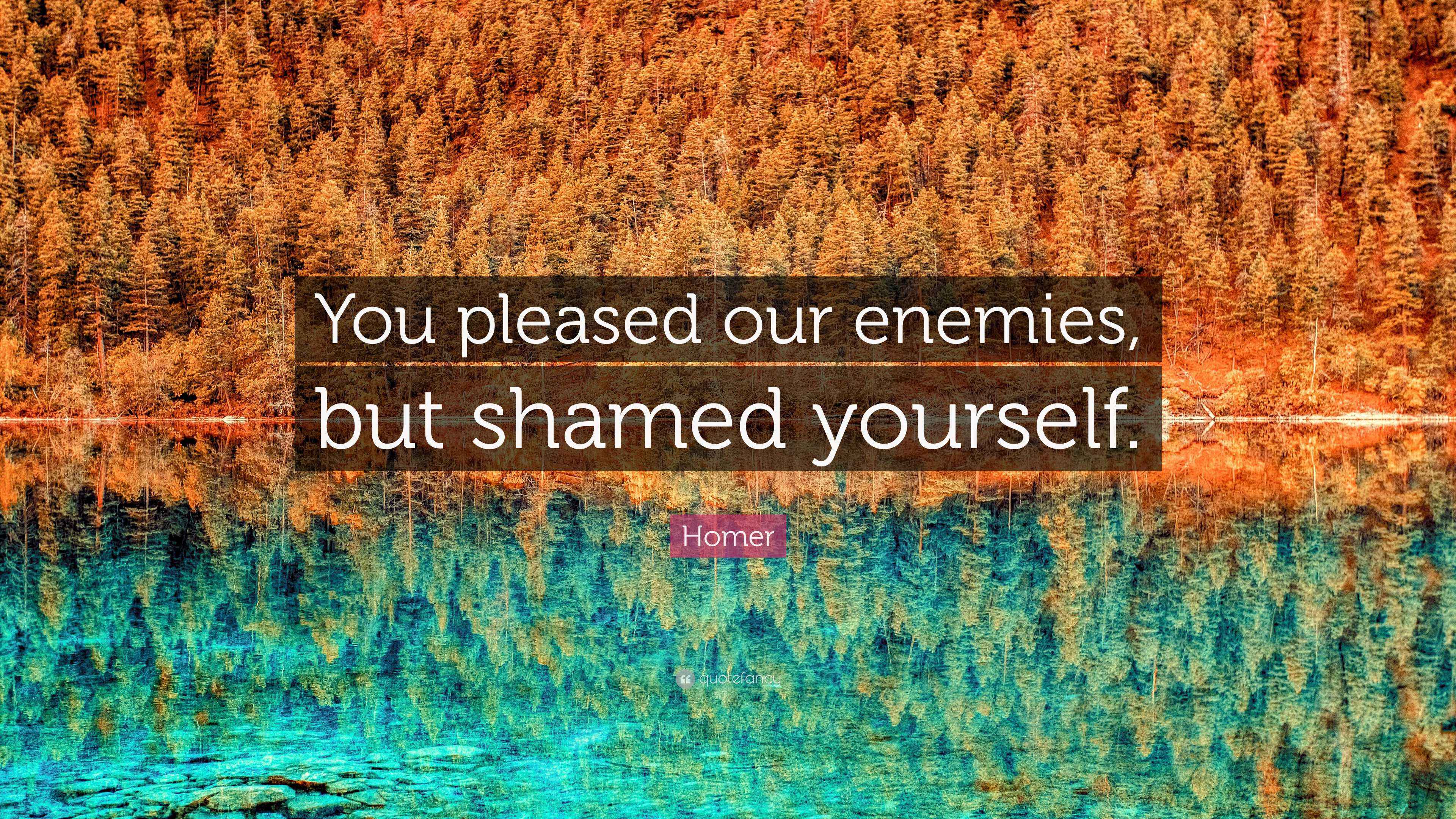 Homer Quote: “You pleased our enemies, but shamed yourself.”
