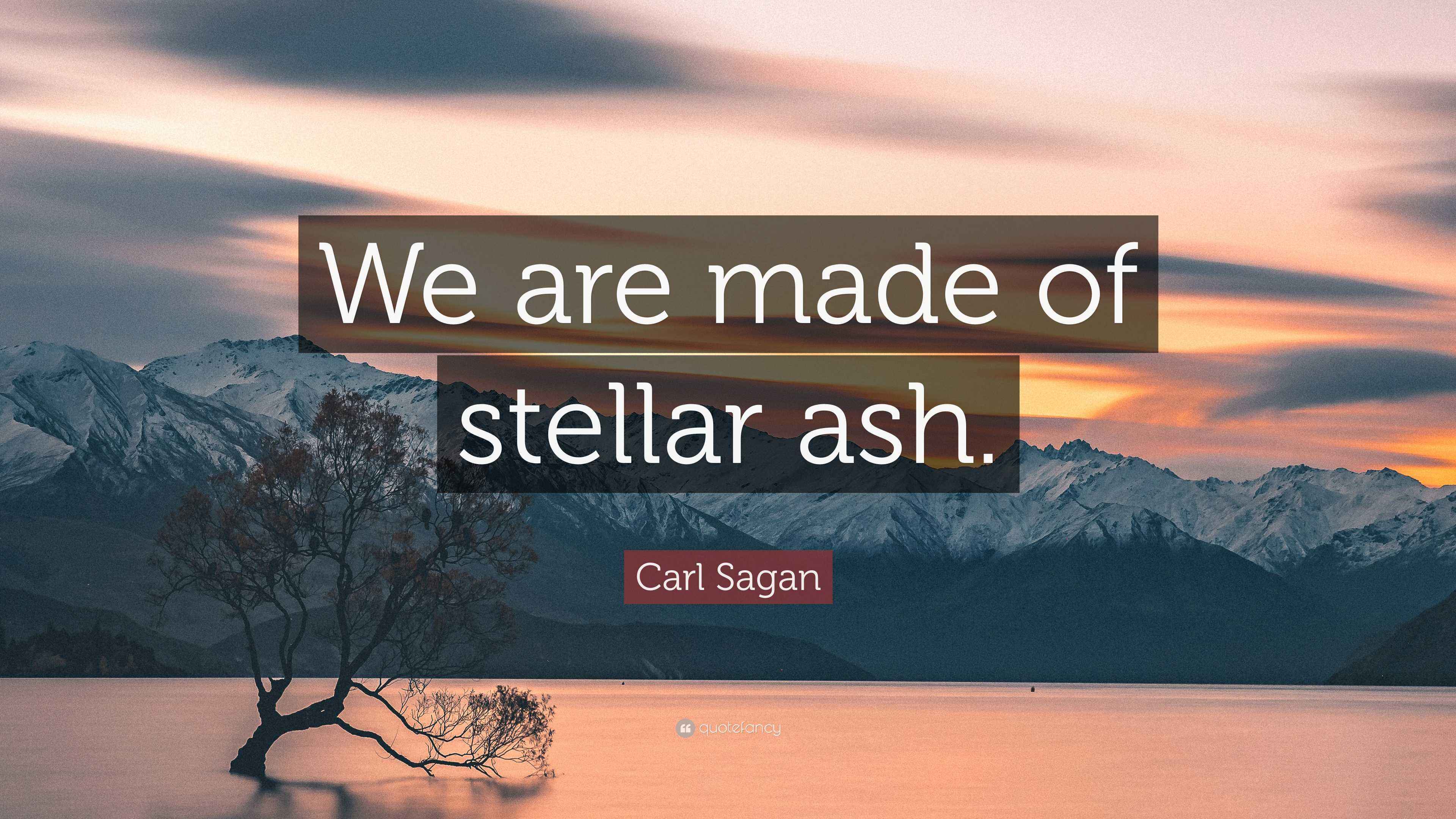 Carl Sagan Quote: “We are made of stellar ash.”
