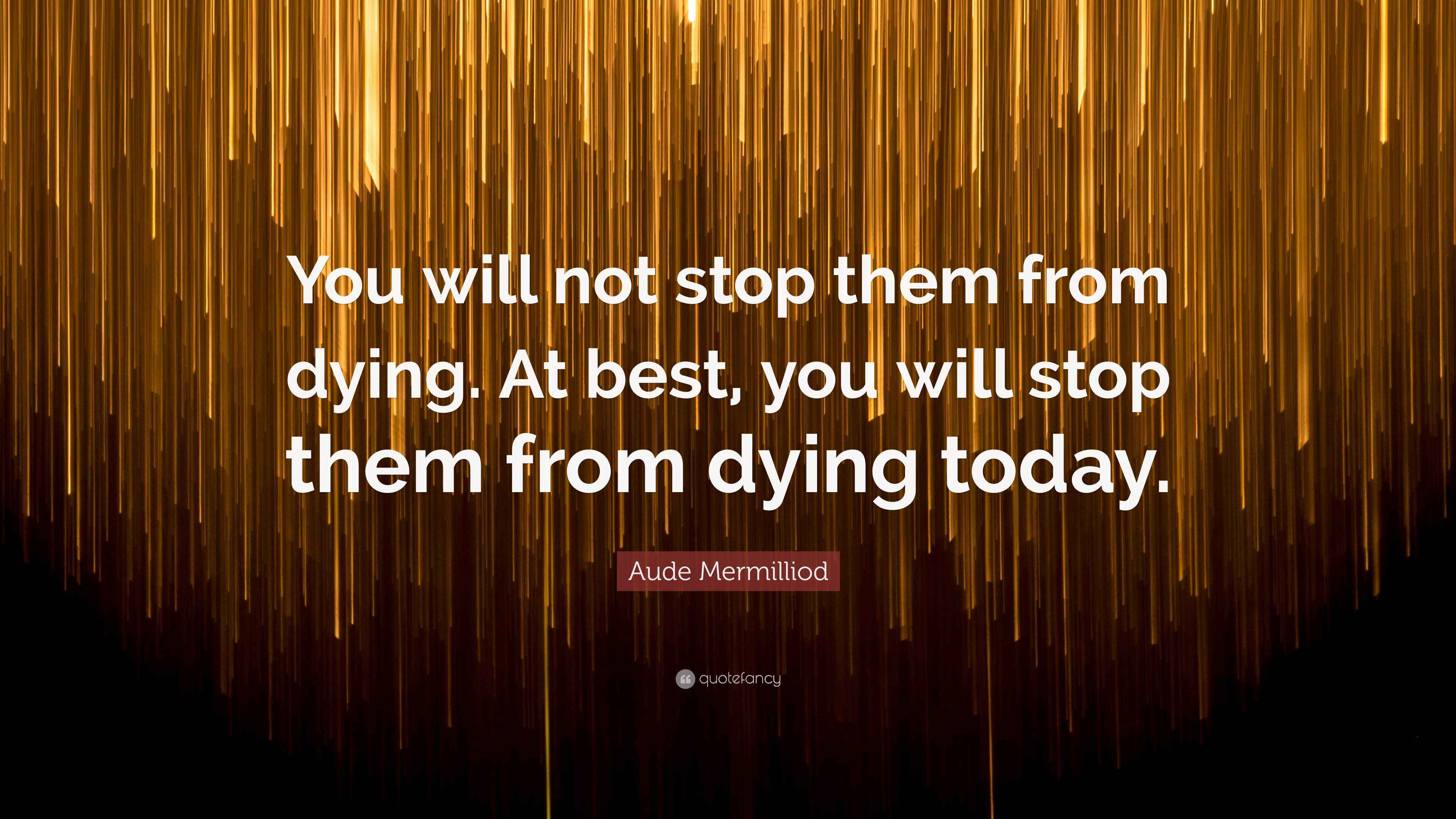 Aude Mermilliod Quote: “You will not stop them from dying. At best, you ...