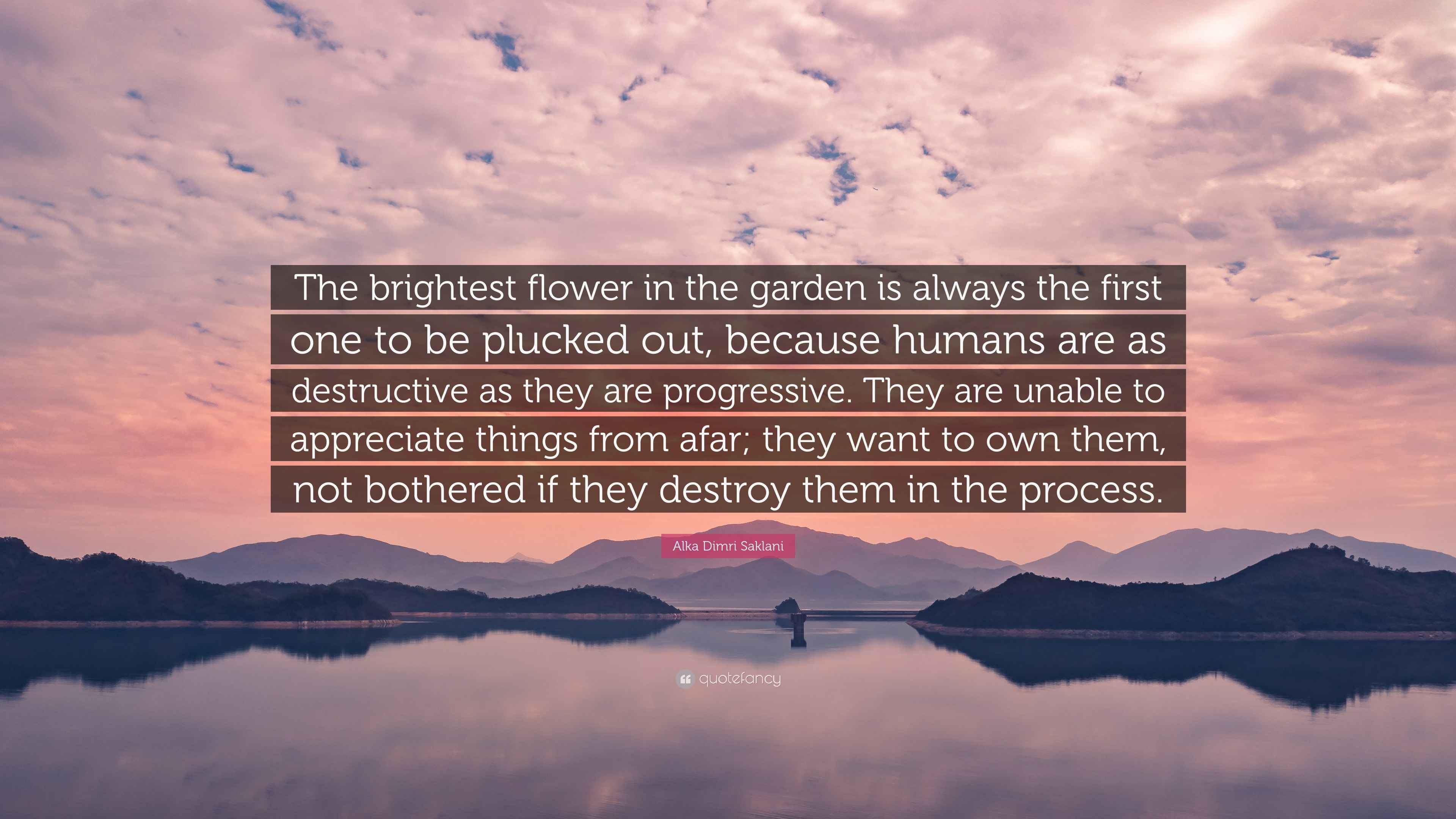 Alka Dimri Saklani Quote: “The brightest flower in the garden is always ...