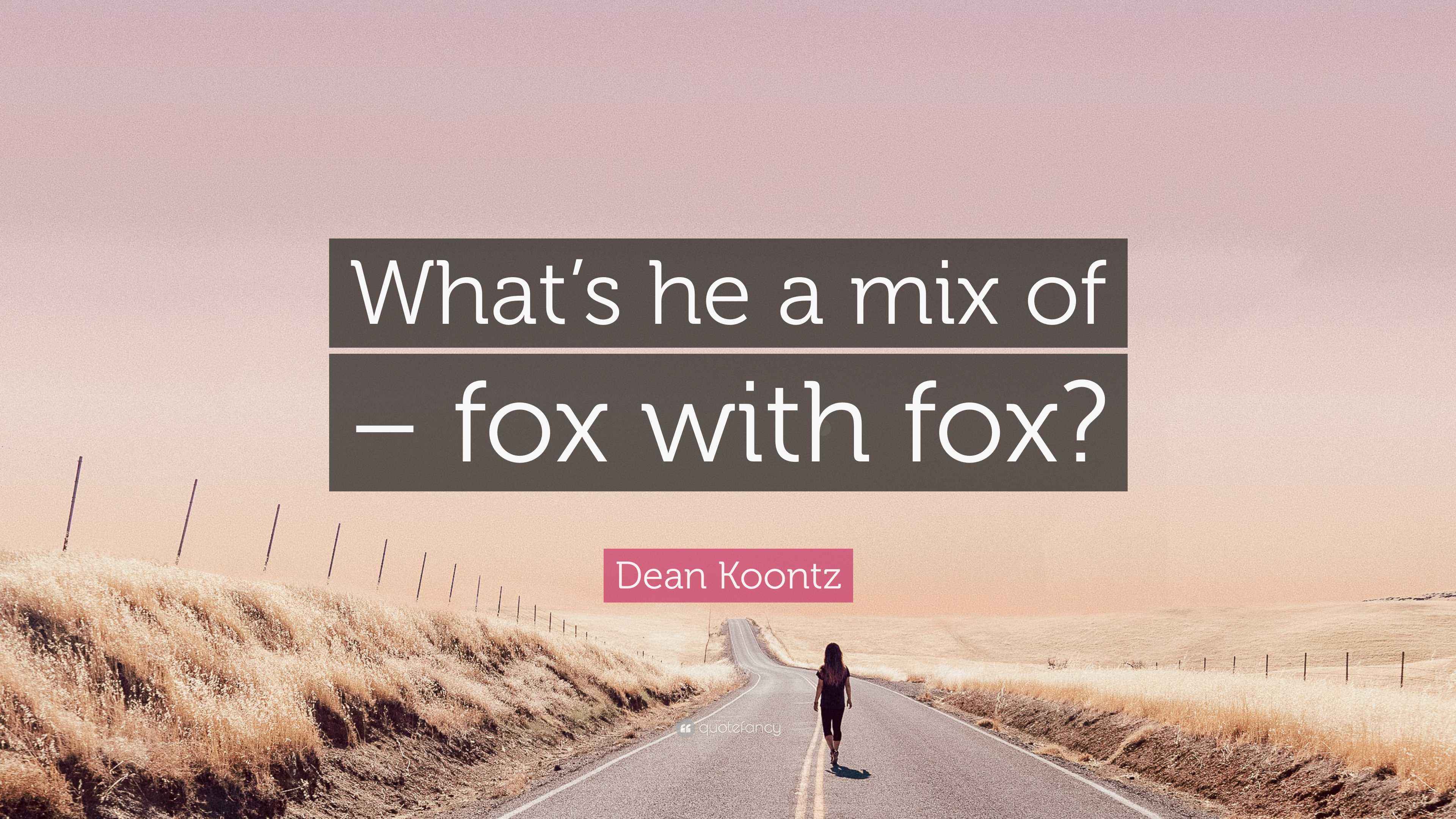 Dean Koontz Quote: “What’s he a mix of – fox with fox?”