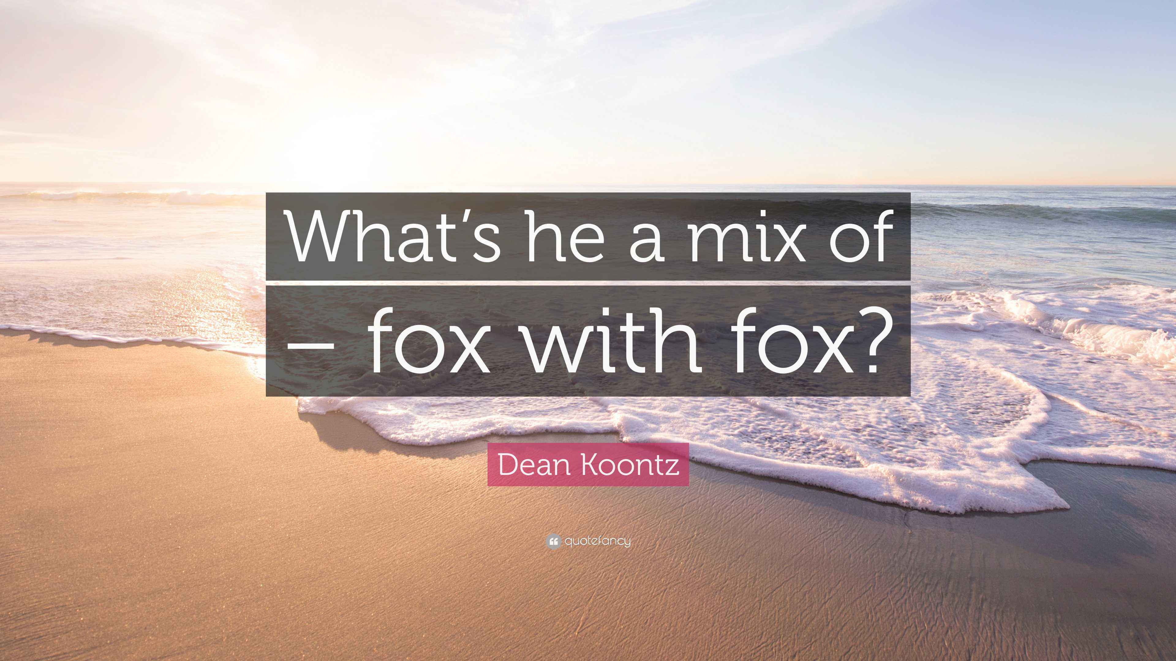 Dean Koontz Quote: “What’s he a mix of – fox with fox?”