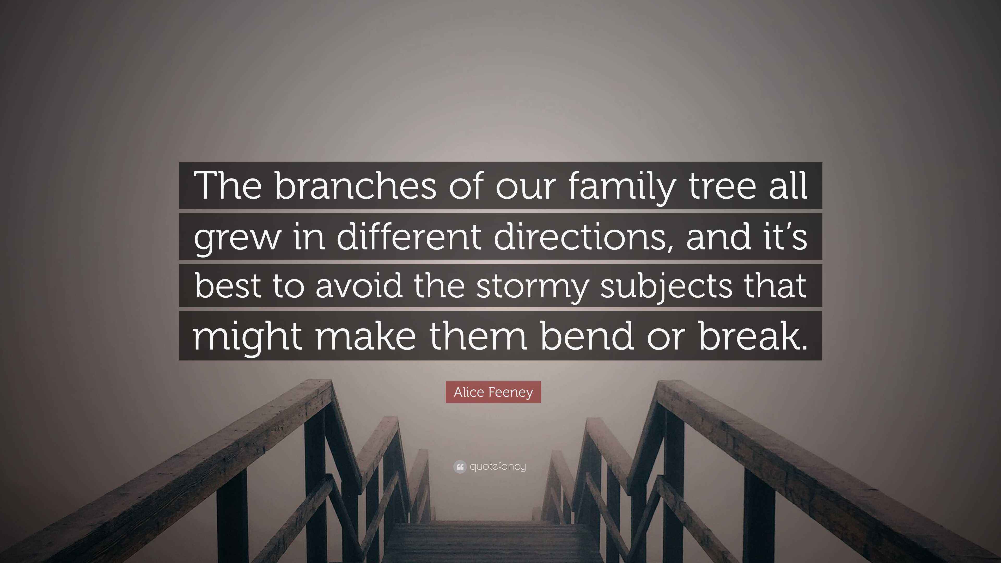 Alice Feeney Quote: “The branches of our family tree all grew in ...