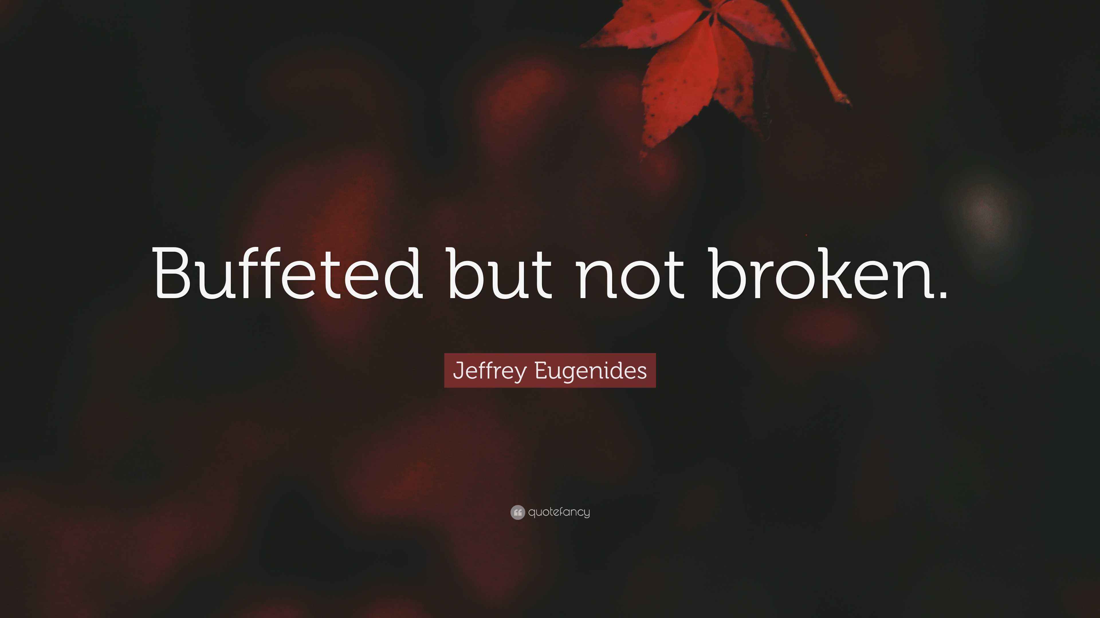 Jeffrey Eugenides Quote: “Buffeted but not broken.”