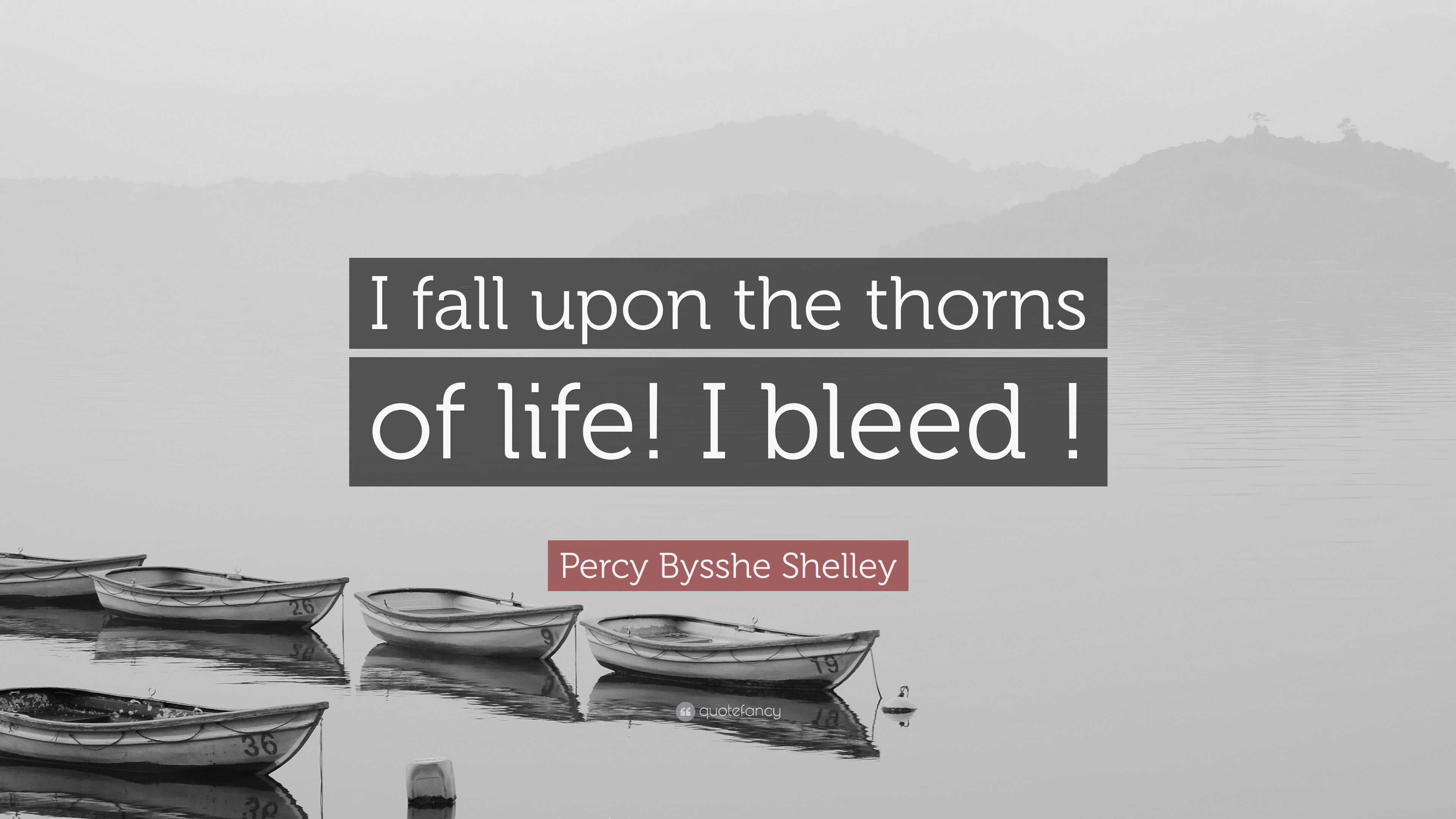 Percy Bysshe Shelley Quote: “I fall upon the thorns of life! I bleed