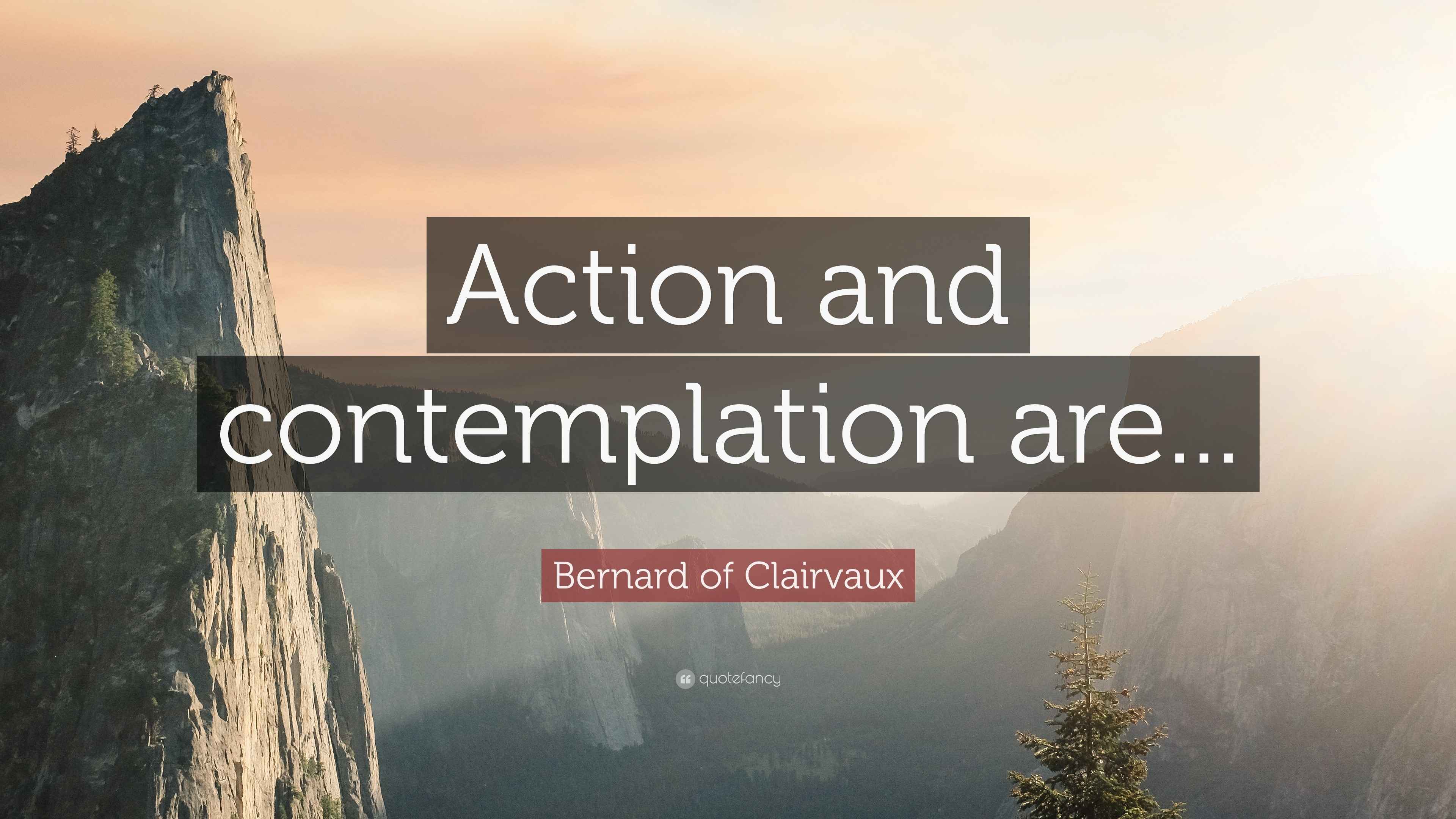 Bernard of Clairvaux Quote: “Action and contemplation are...”