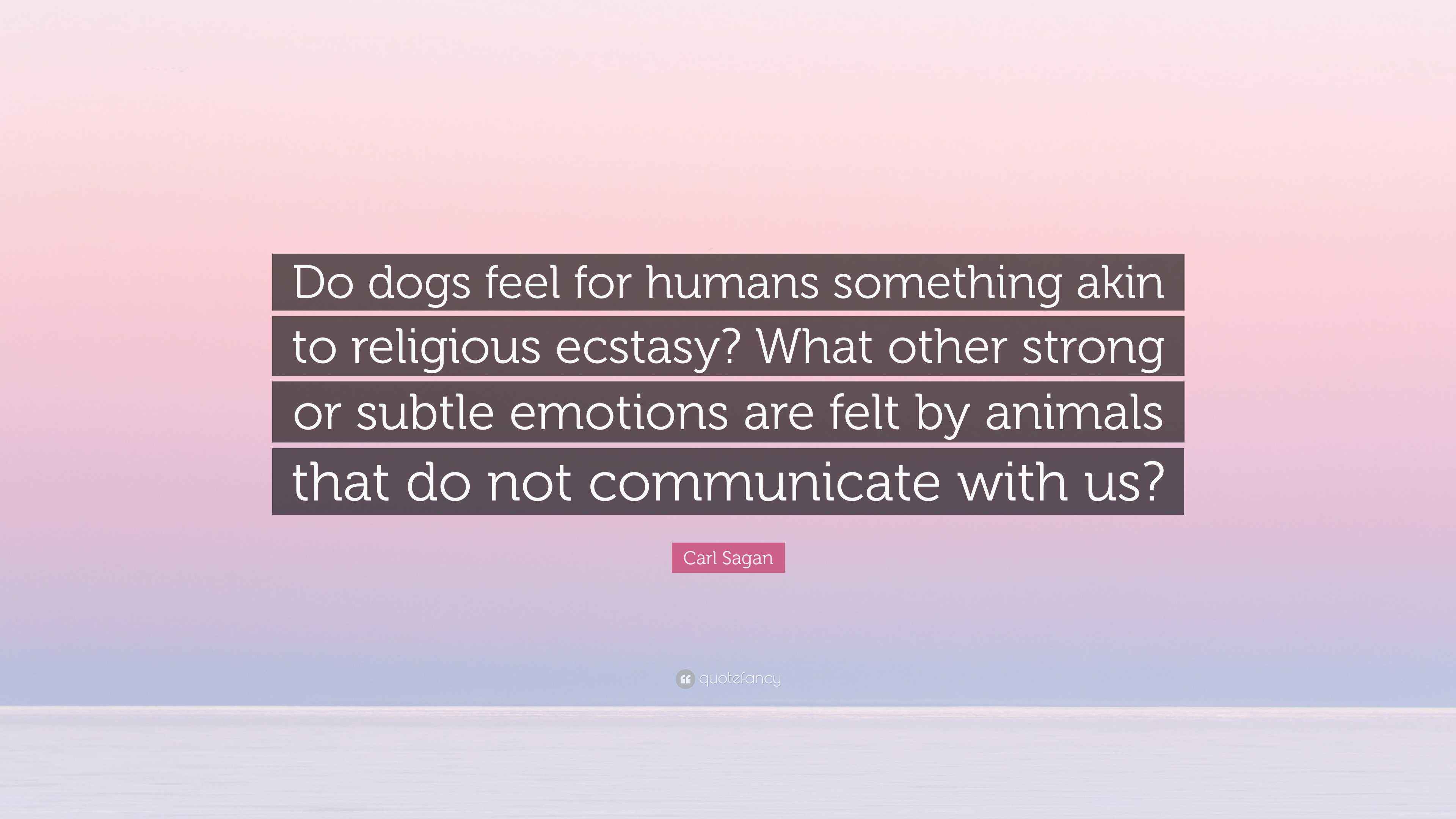 Carl Sagan Quote: “Do dogs feel for humans something akin to religious ...