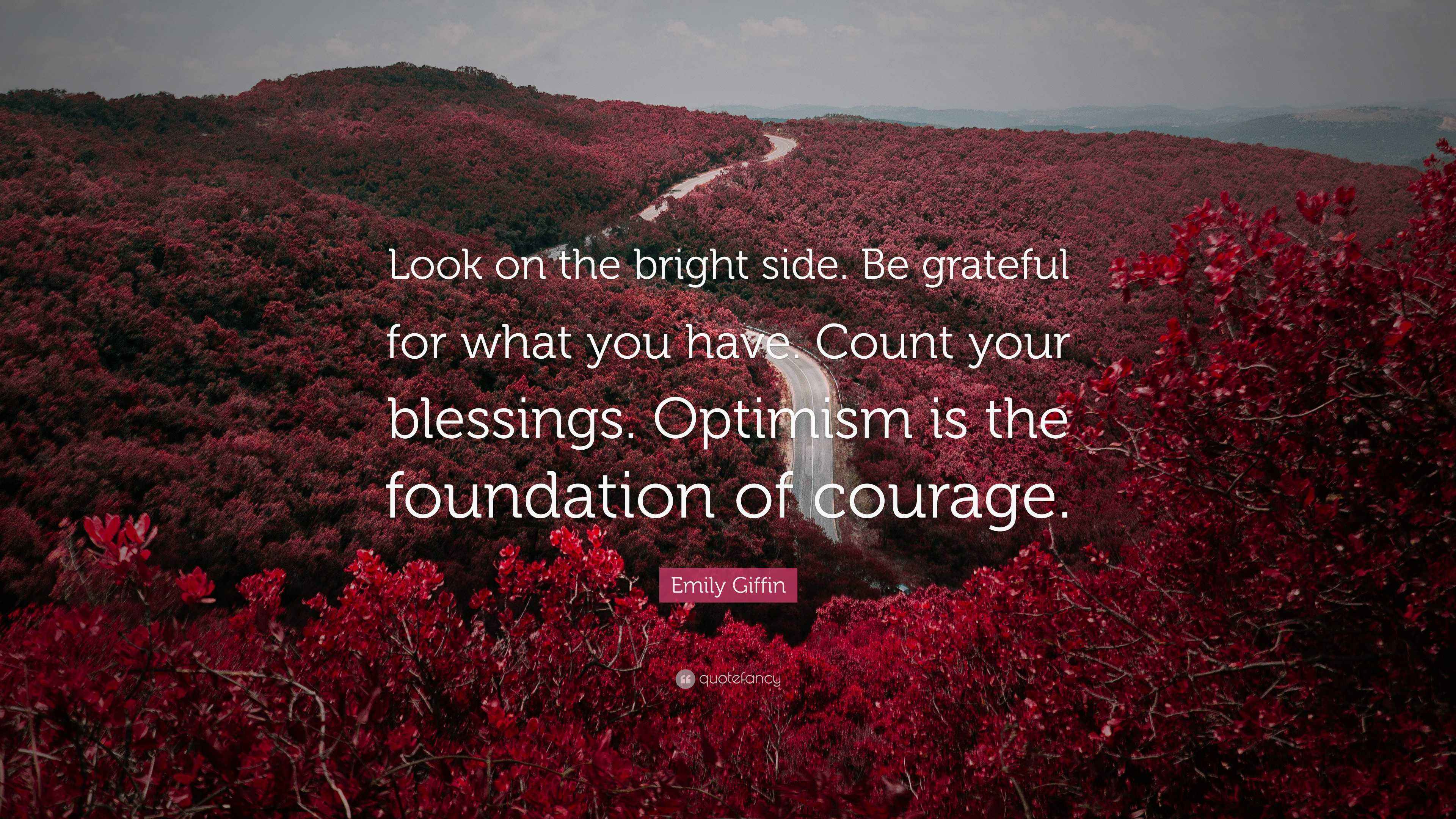 Emily Giffin Quote: “Look on the bright side. Be grateful for what you ...