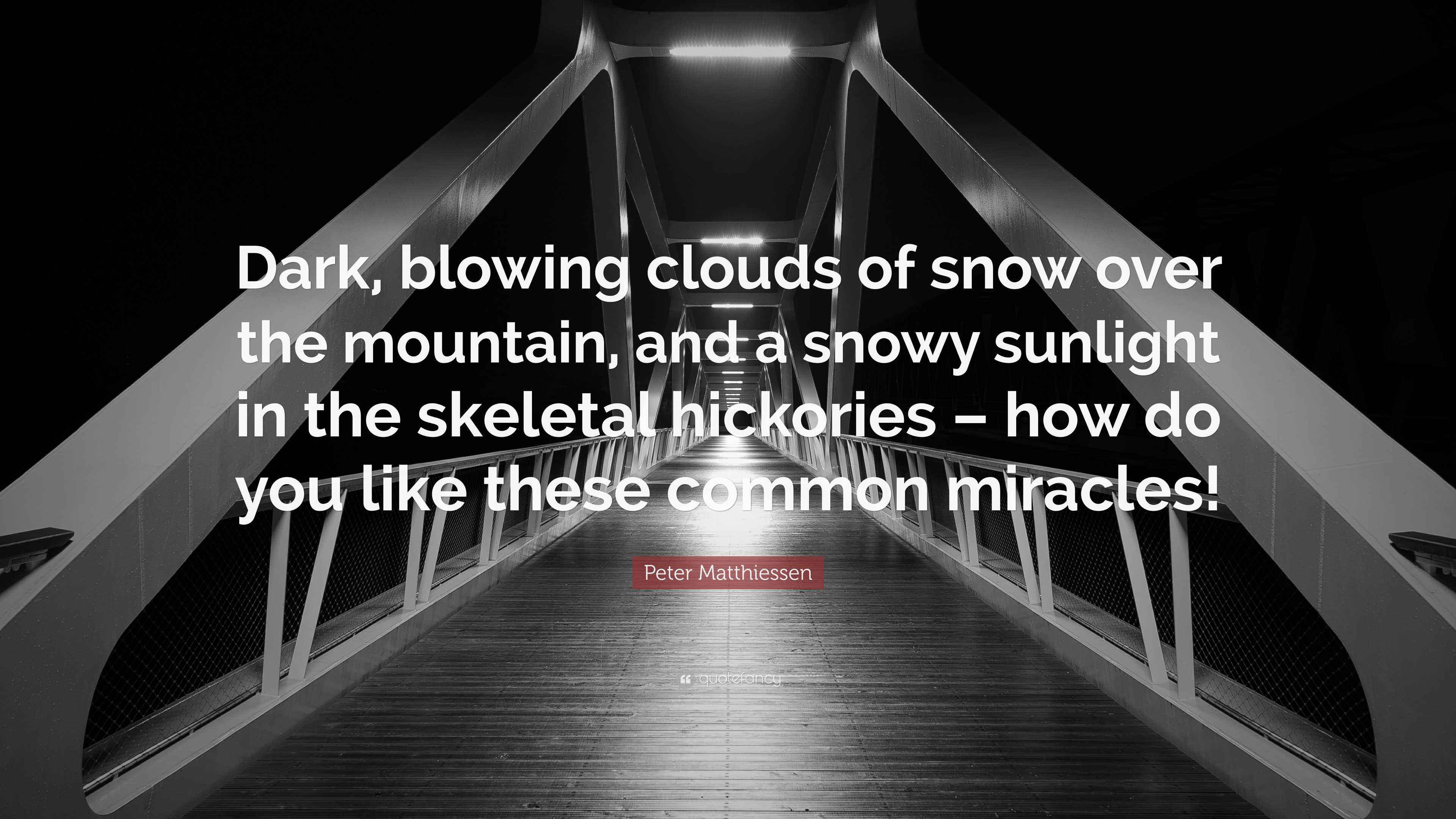 Peter Matthiessen Quote: “Dark, blowing clouds of snow over the ...