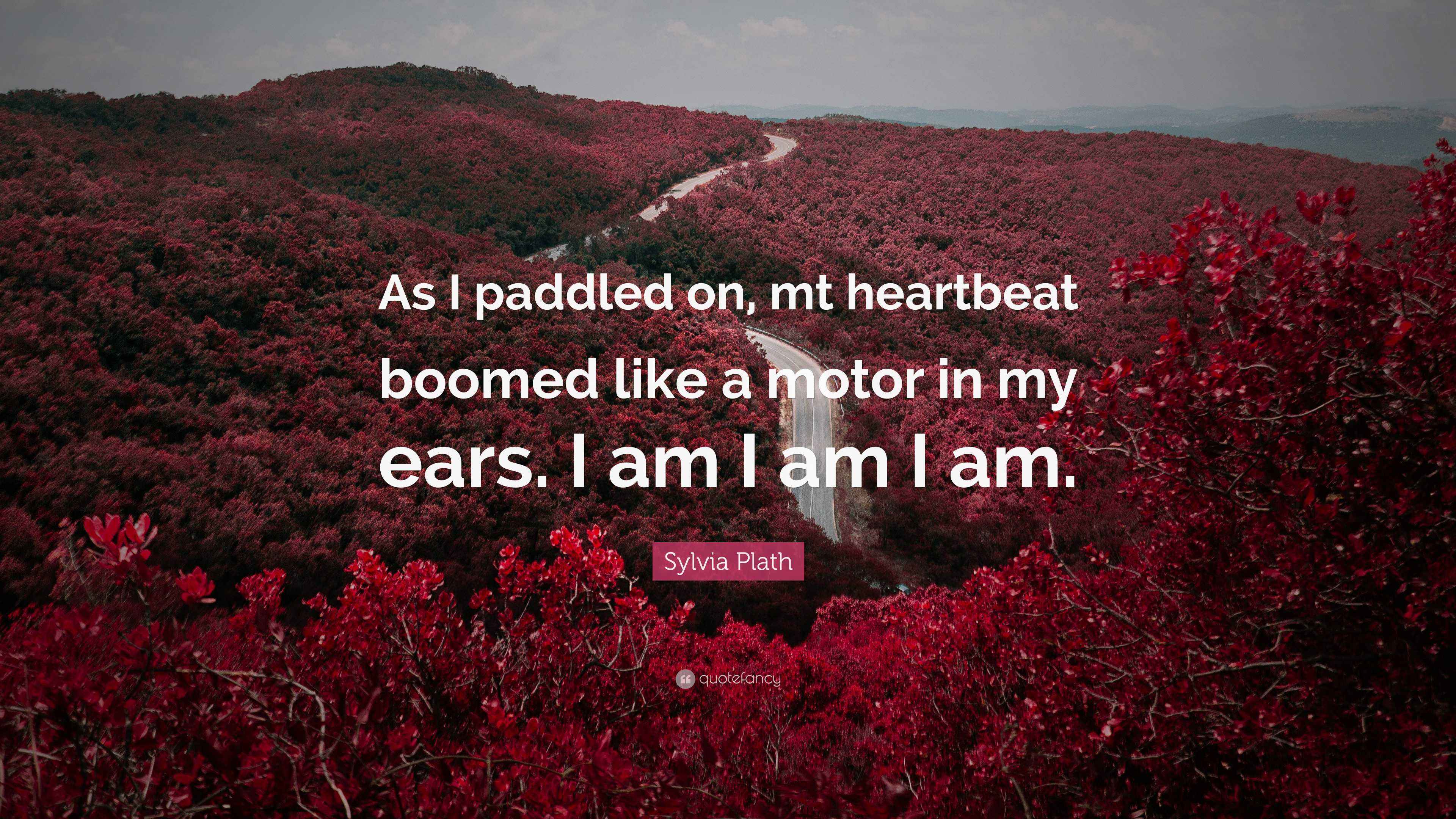 Sylvia Plath Quote: “As I paddled on, mt heartbeat boomed like a motor ...
