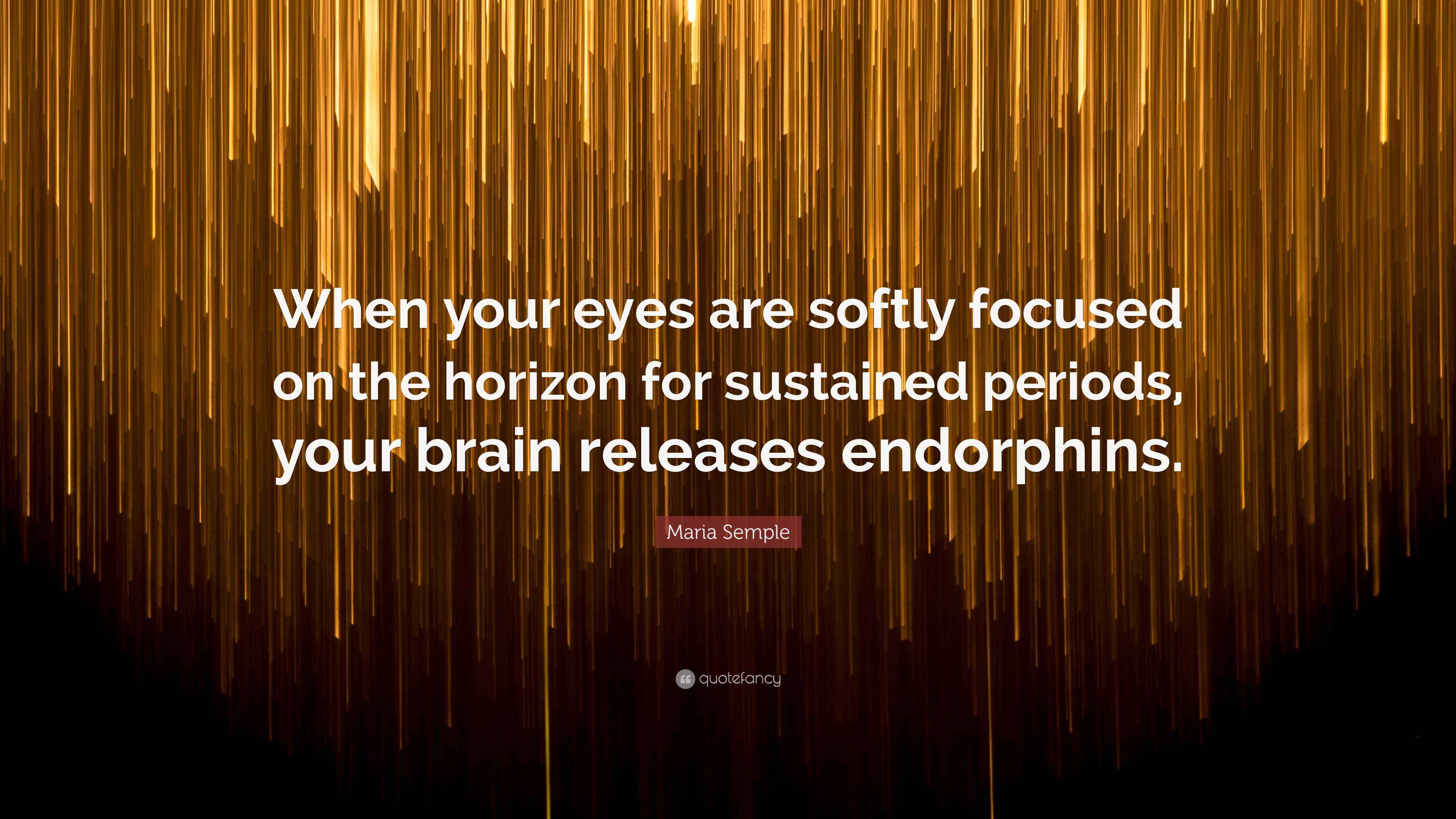Maria Semple Quote: “When your eyes are softly focused on the horizon ...