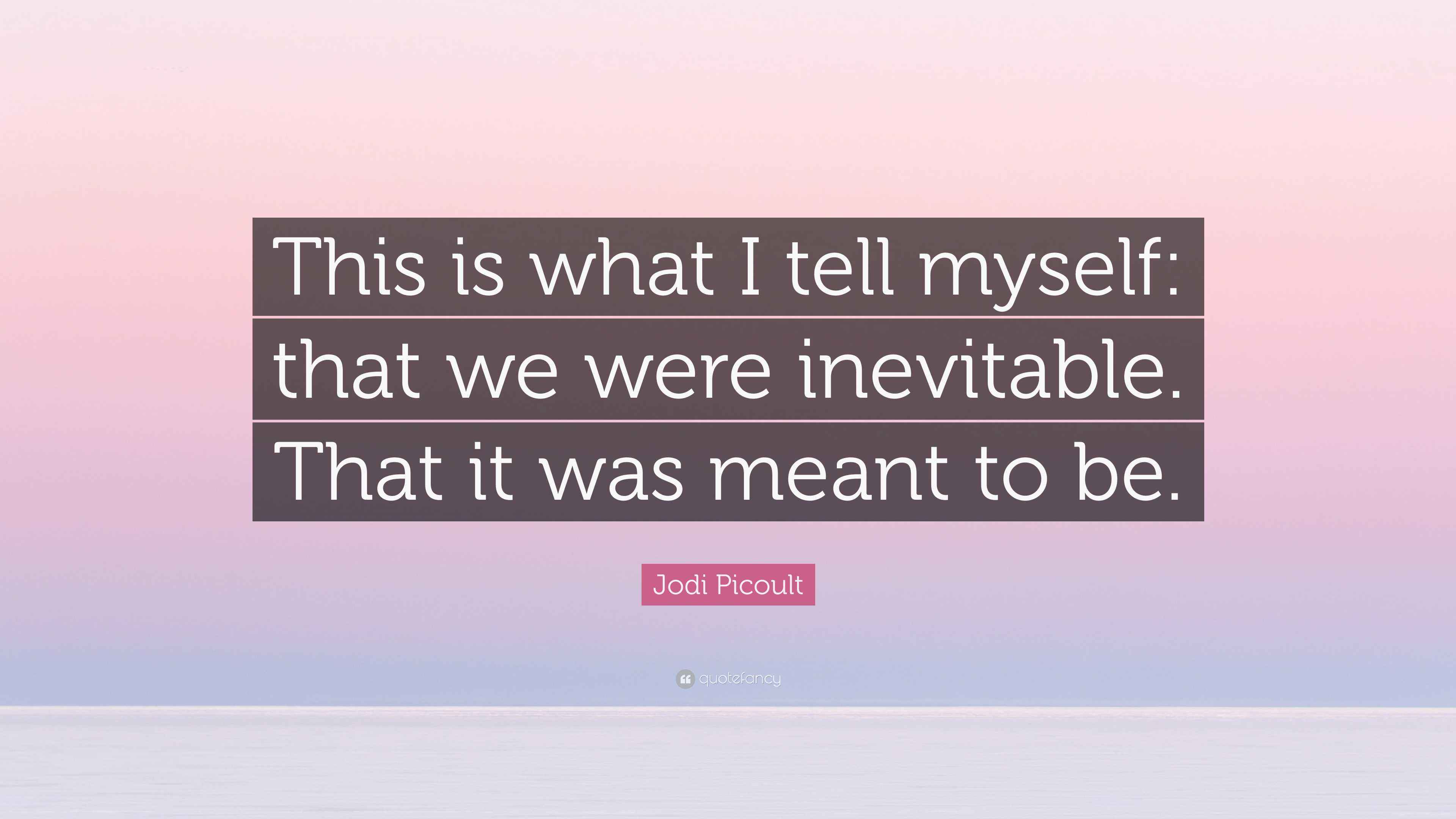 Jodi Picoult Quote: “This is what I tell myself: that we were ...