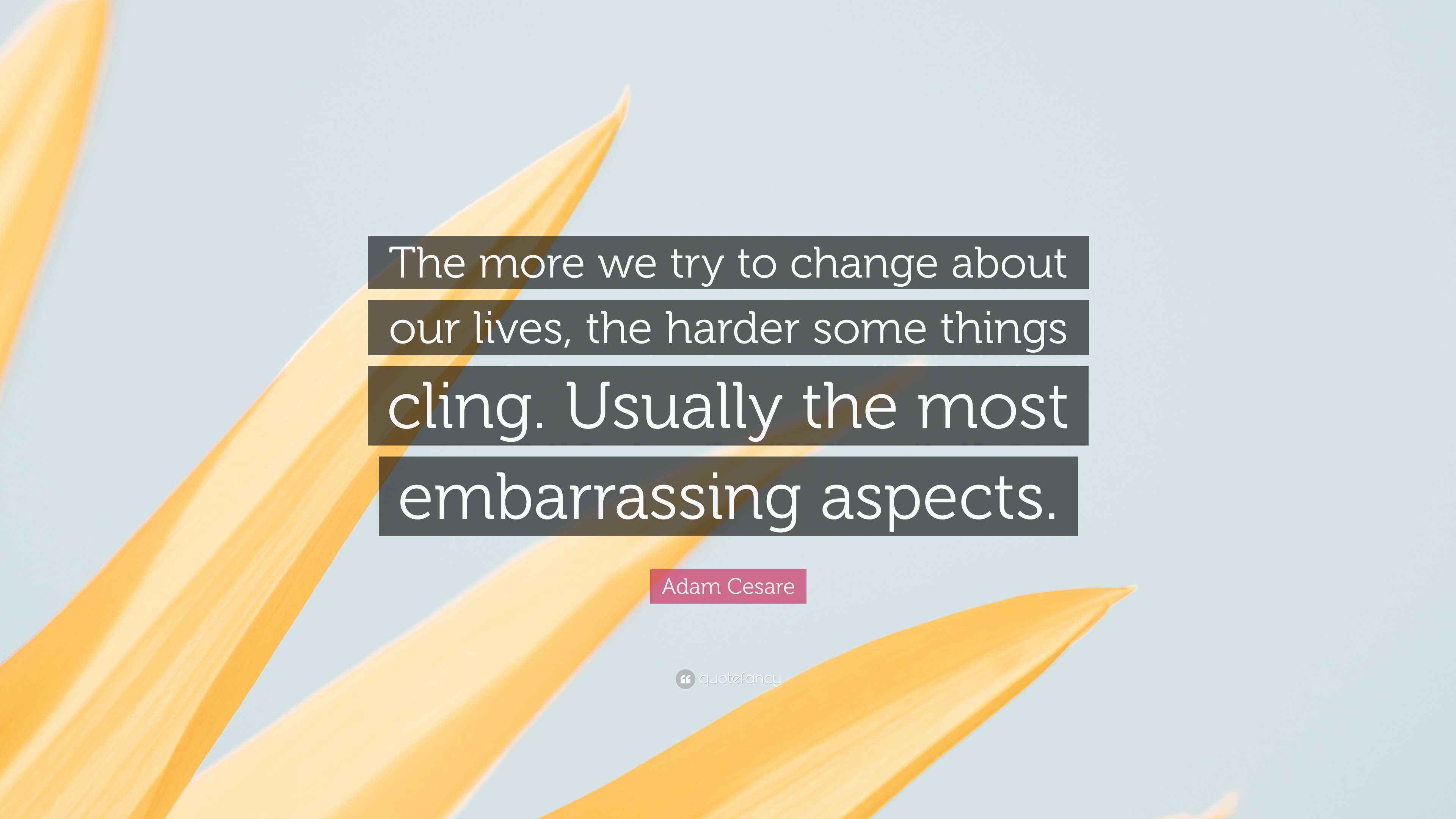 Adam Cesare Quote: “The more we try to change about our lives, the ...