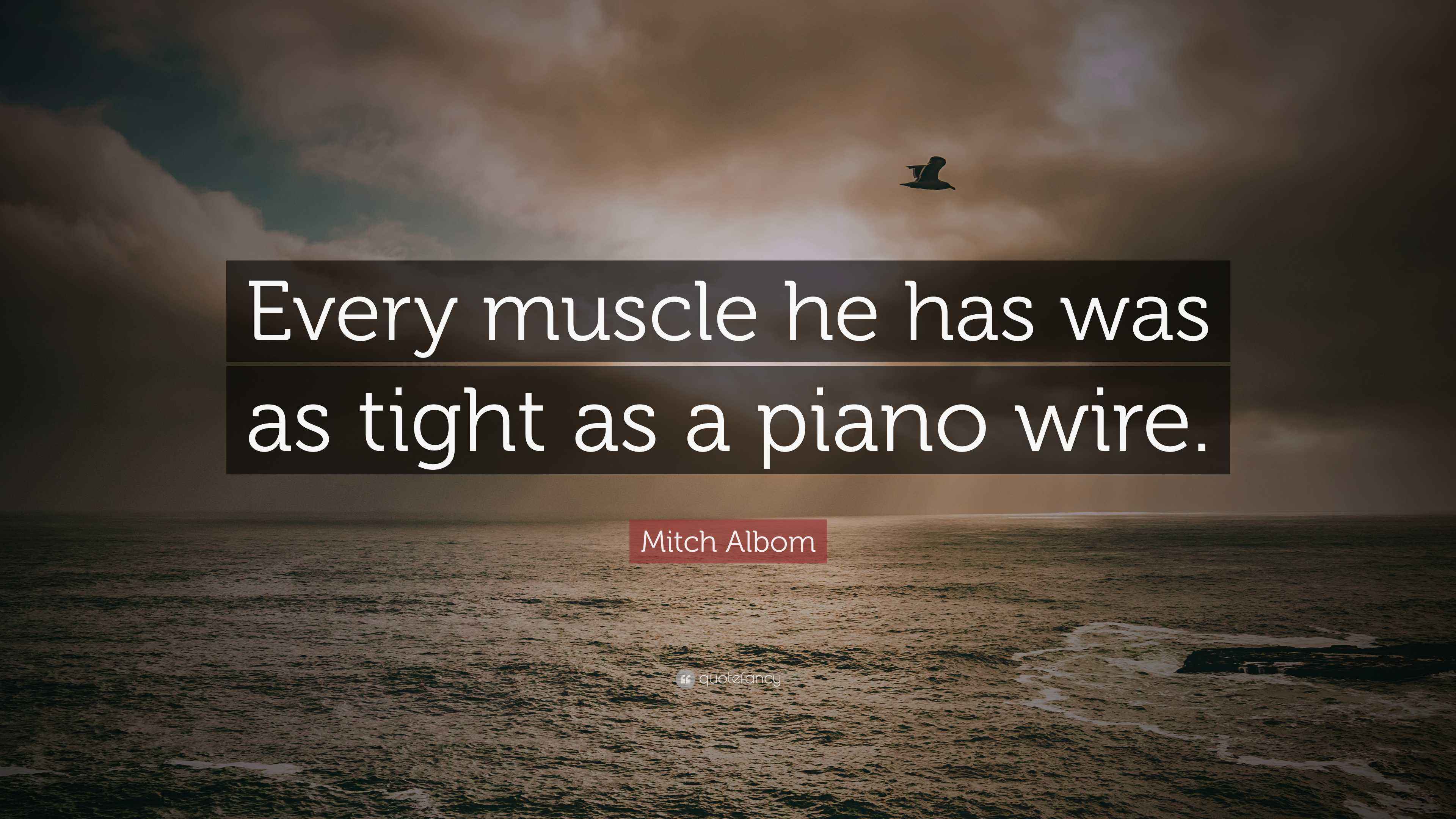 Mitch Albom Quote: “Every muscle he has was as tight as a piano wire.”